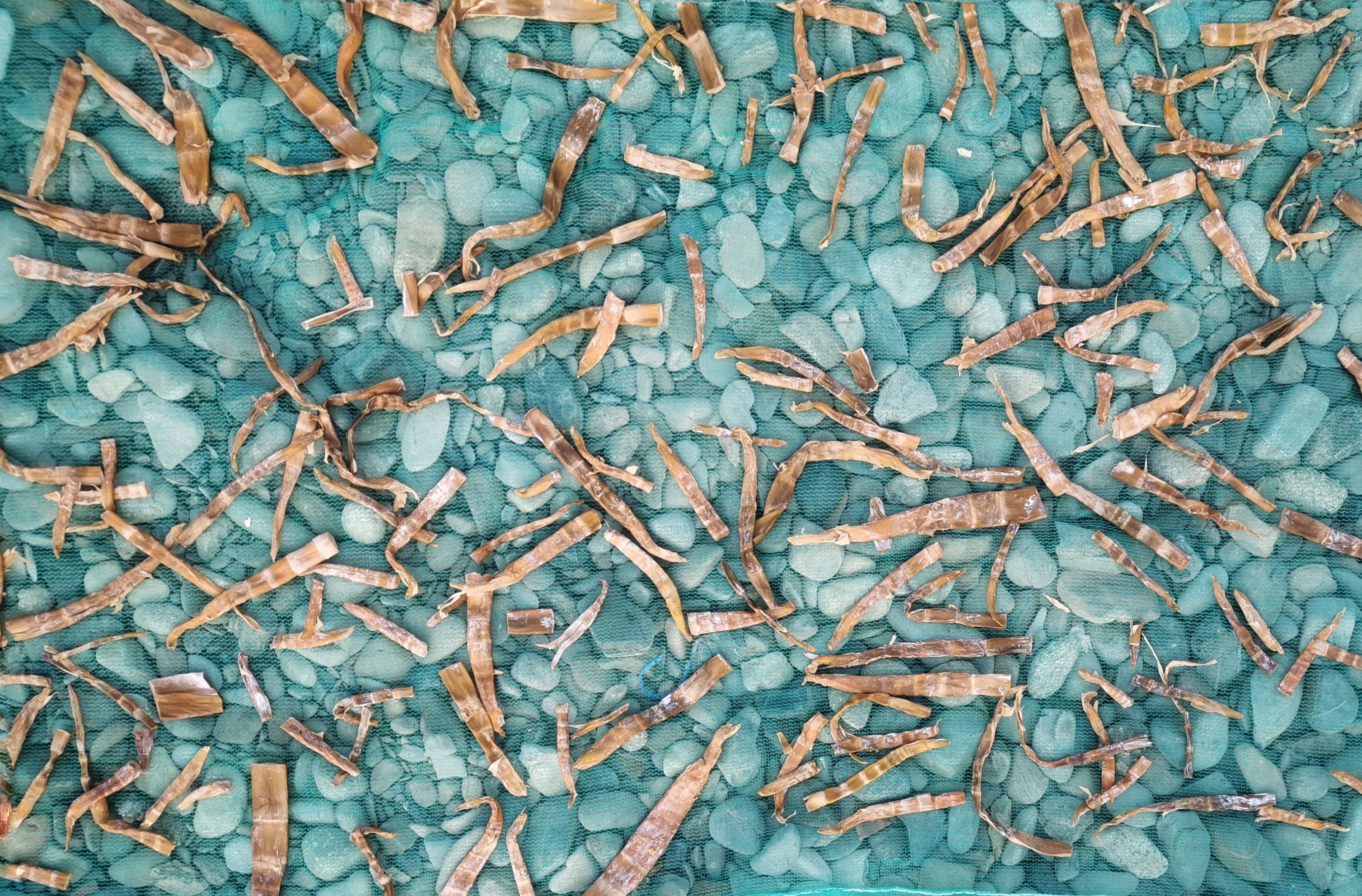 A bunch of rocks and wood sticks on the ground photo – Free Stone Image ...