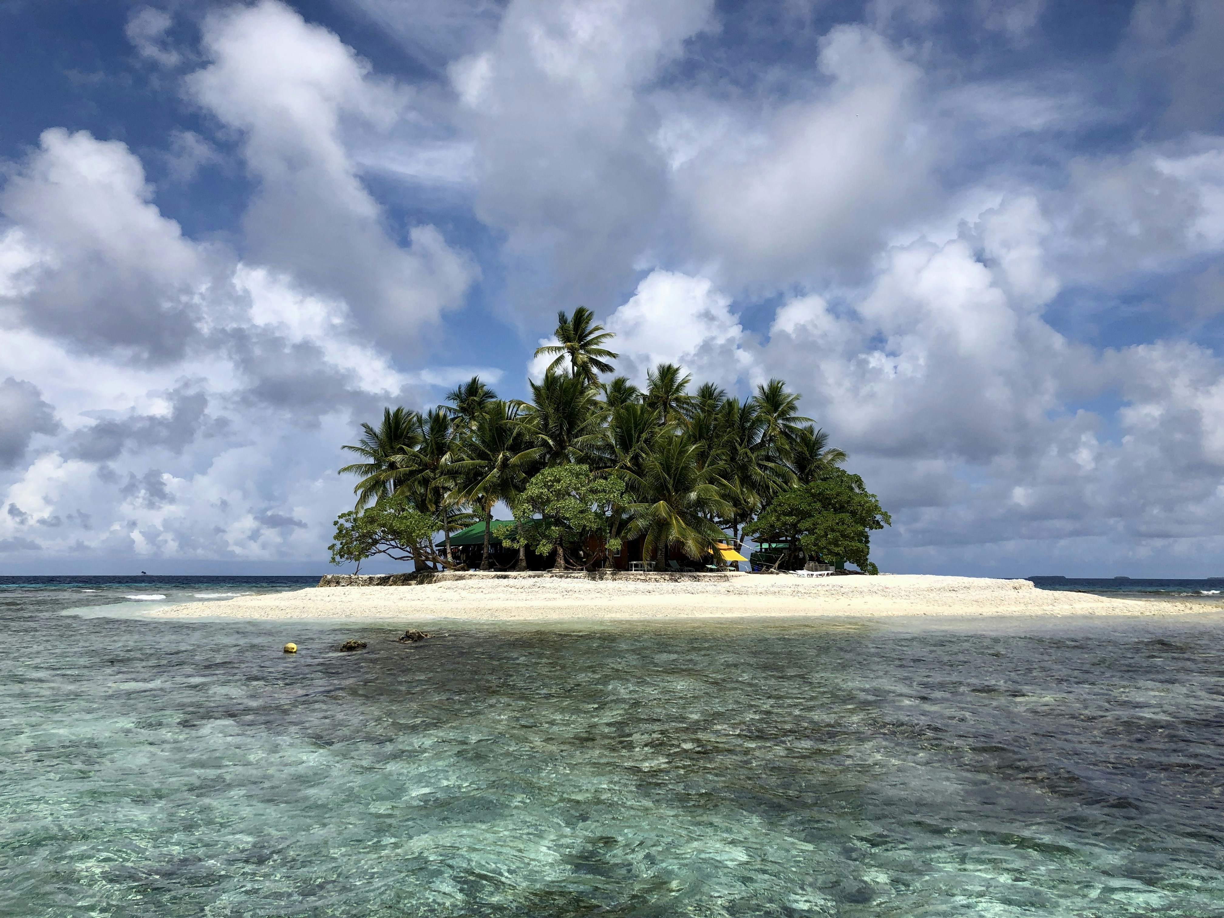 Green trees on island photo – Free Outdoors Image on Unsplash