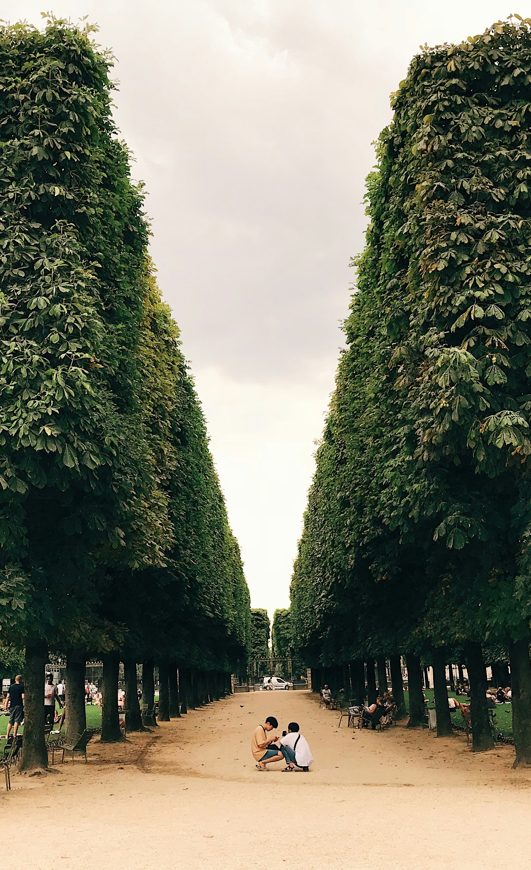 A serene scene in a park with two individuals sitting on the ground, surrounded by tall, leafy trees lining a sandy pathway.