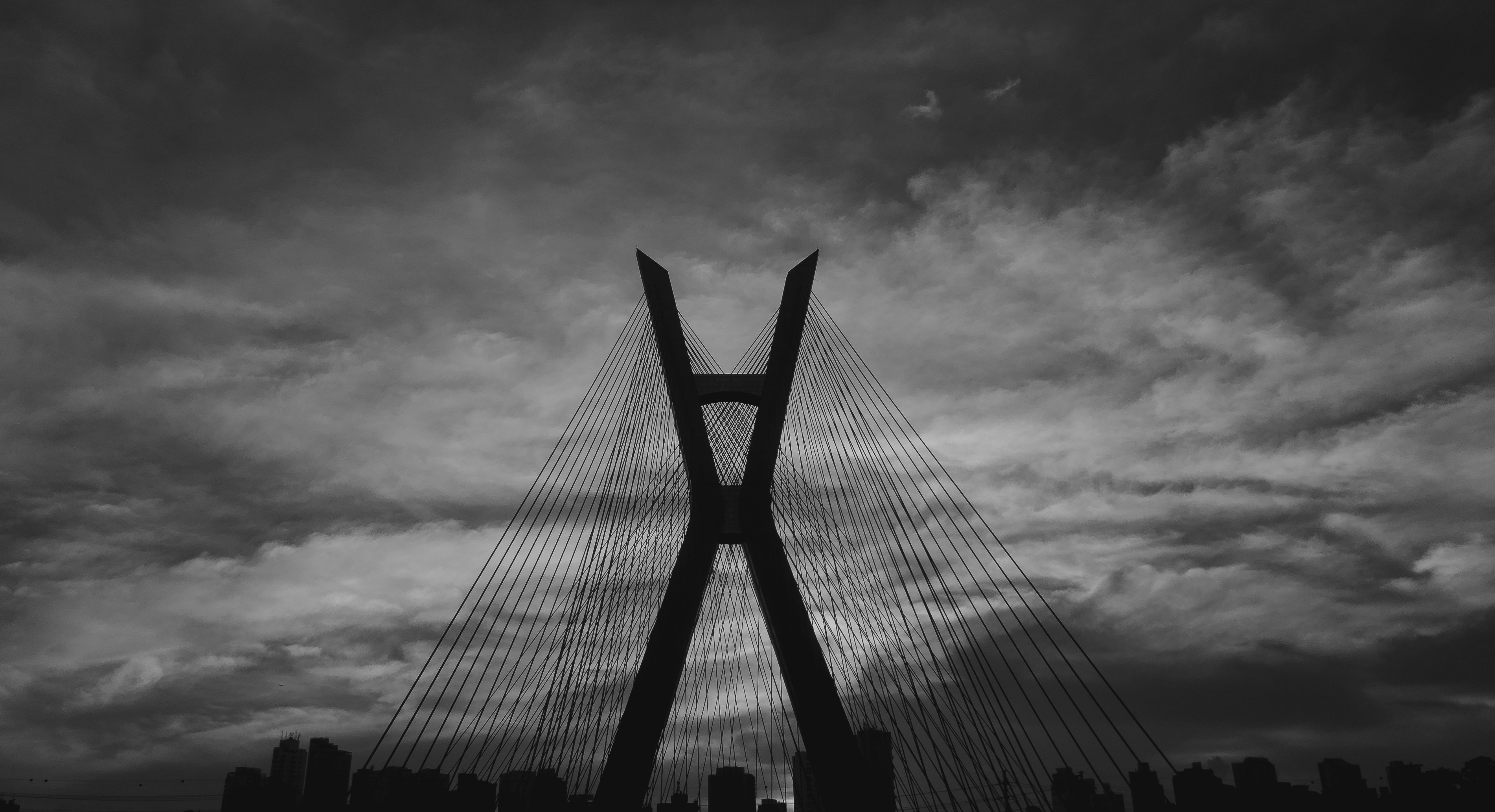 Monochrome Silhouette of Urban Architecture
