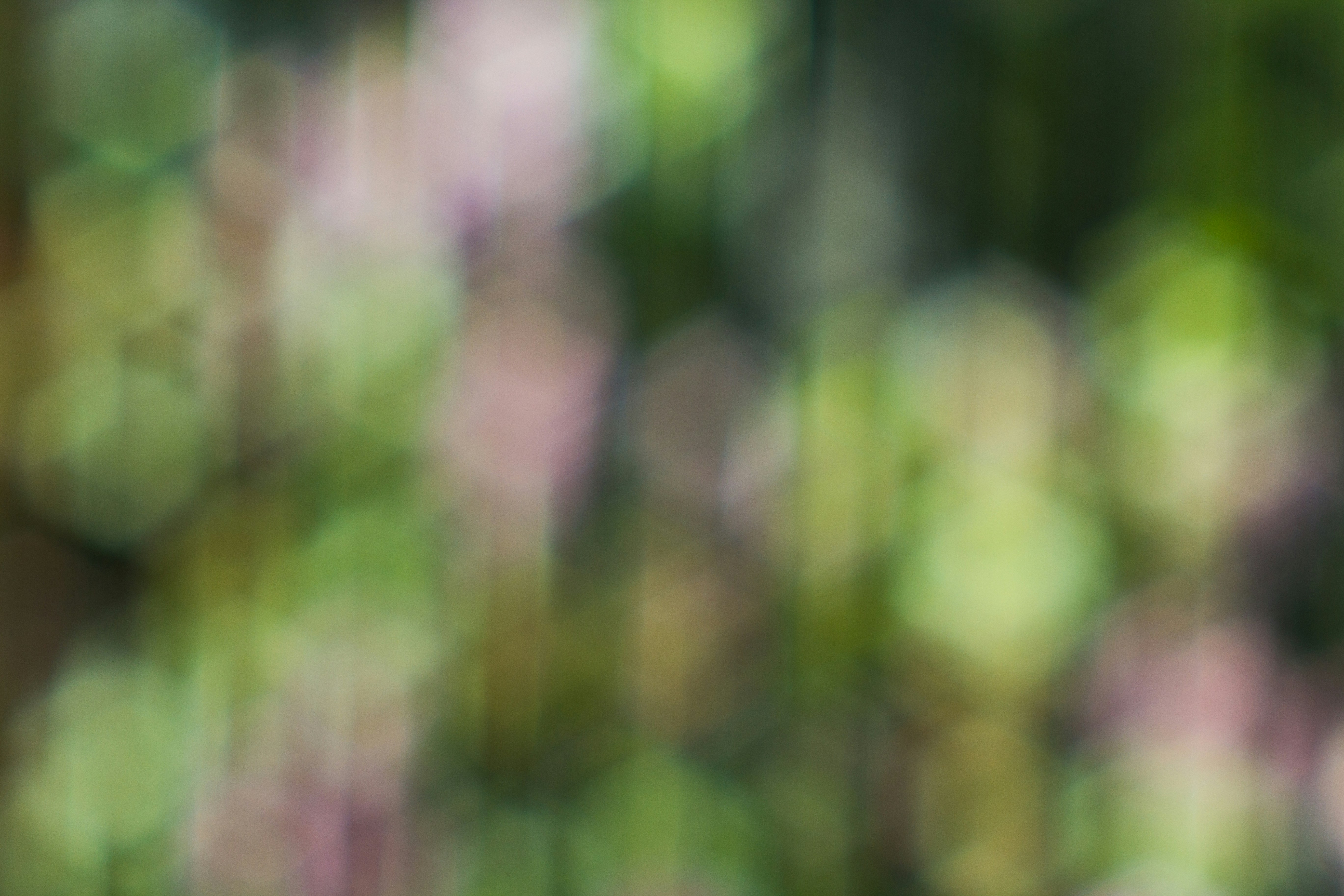 Softly blurred floral background with hints of green and pink hues, creating an abstract representation of a vibrant garden.