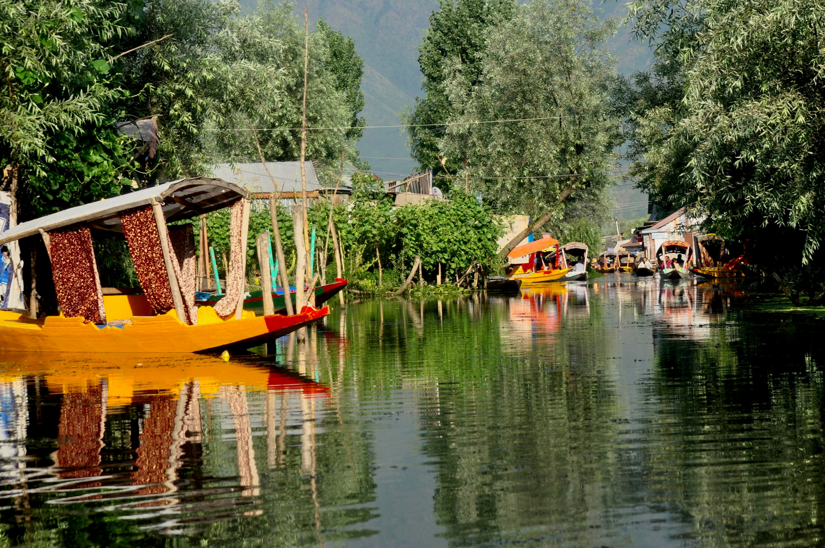 Vibrant boats glide along a tranquil, tree-lined canal under a clear sky.