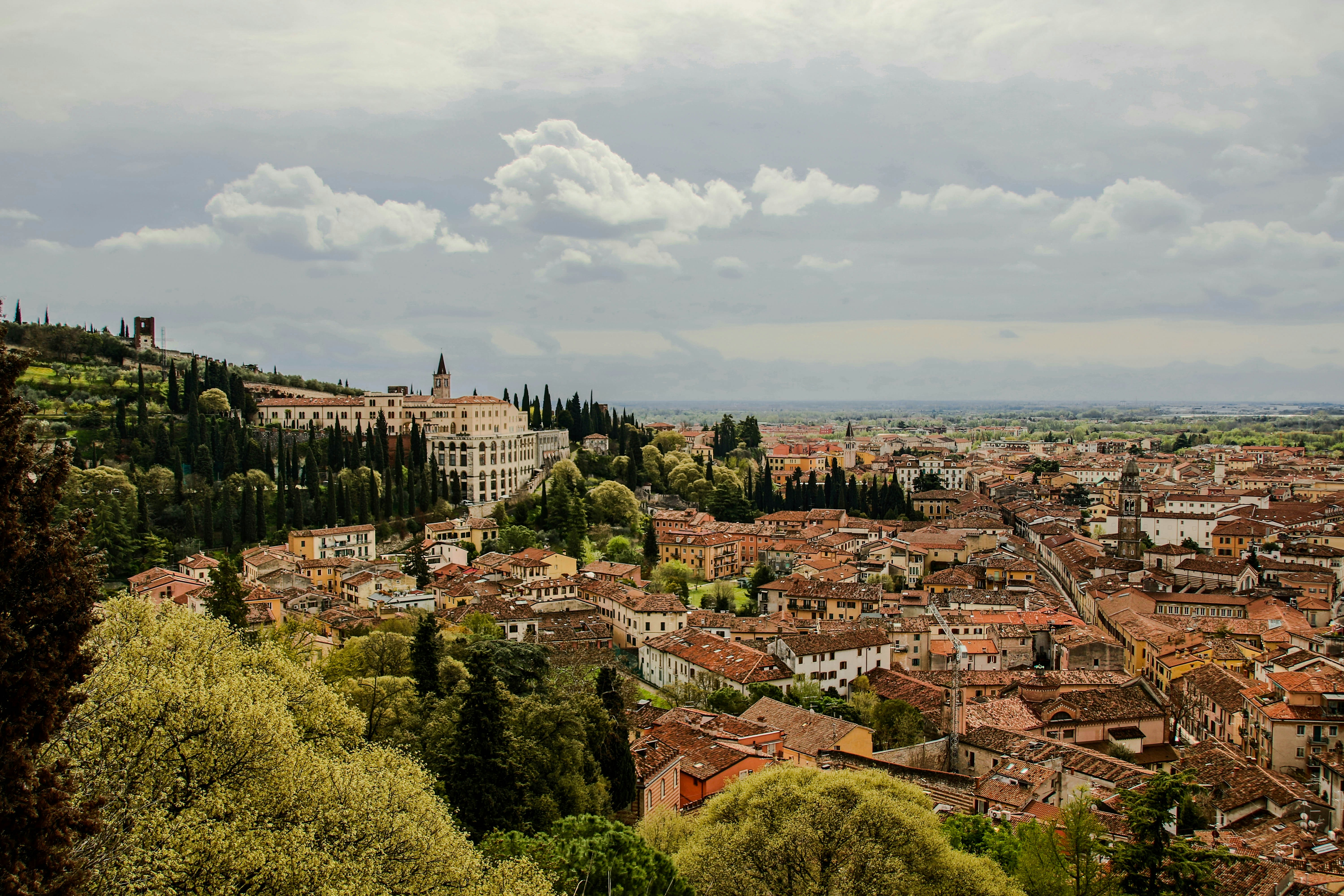 City with high-rise buildings and houses viewing trees under cloudy ...