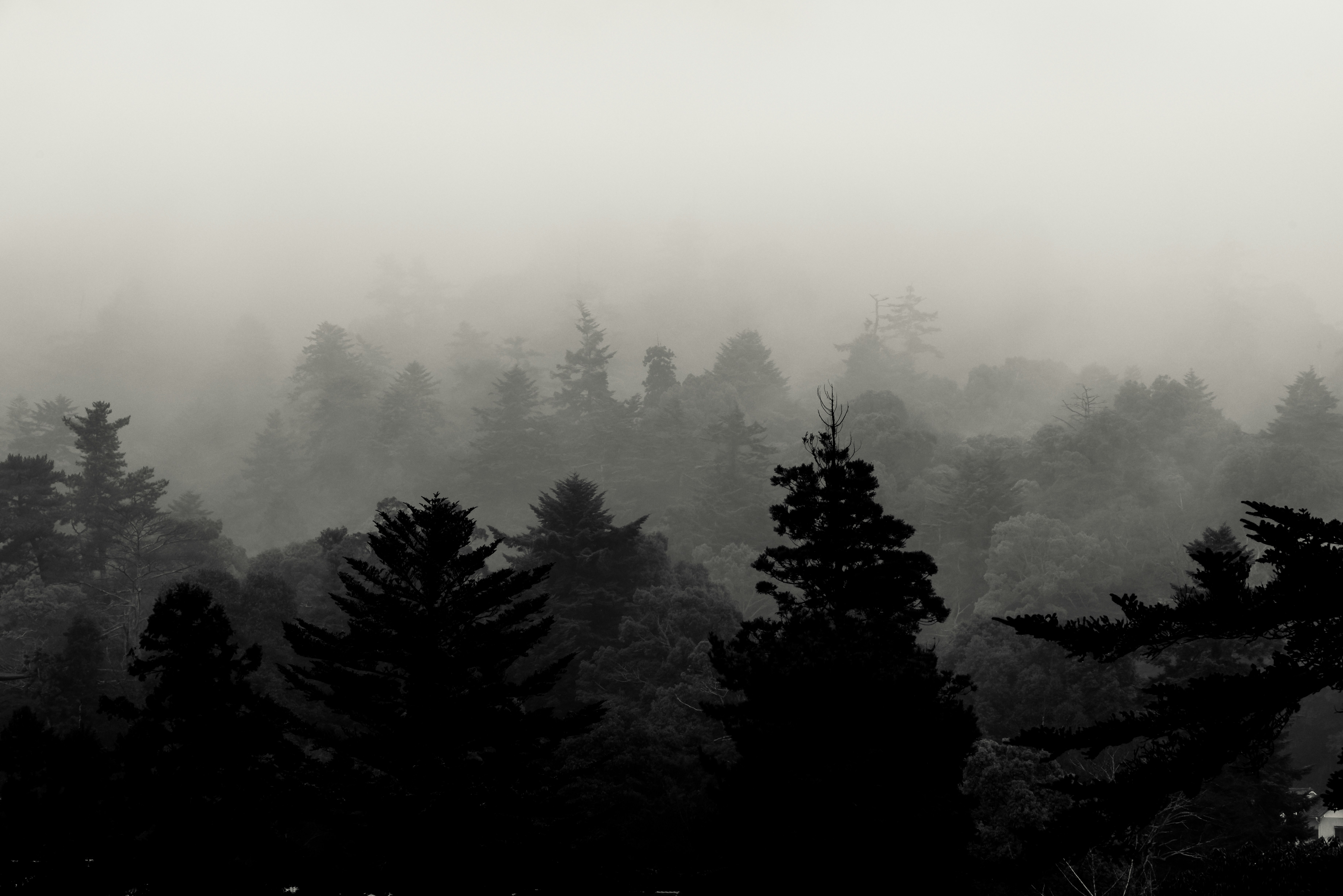 Naturalistic | 18 best free naturalistic, outdoor, italy and lake ...