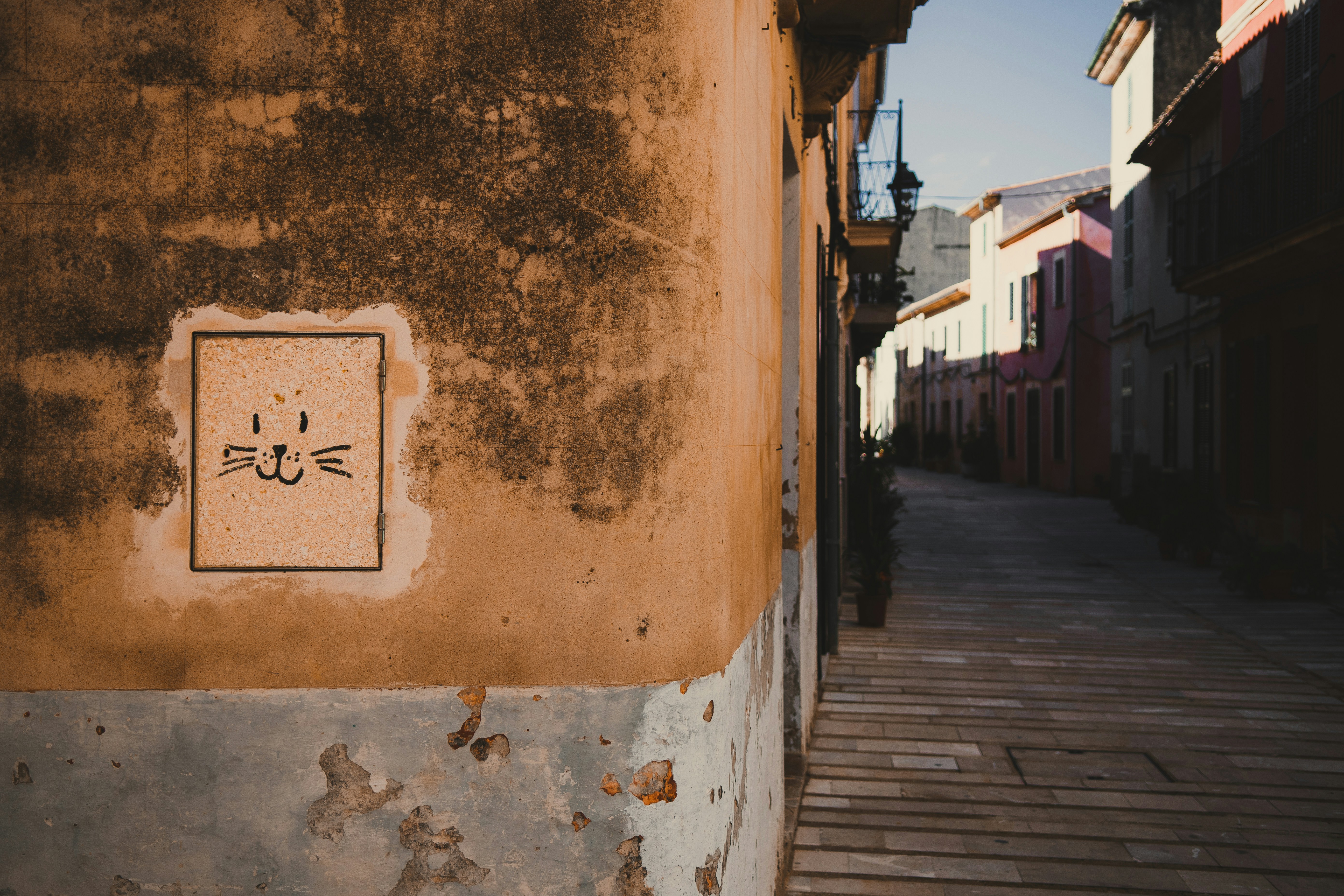 Ochre Wall Cat: A Quiet Alley Drawn in Sunlight