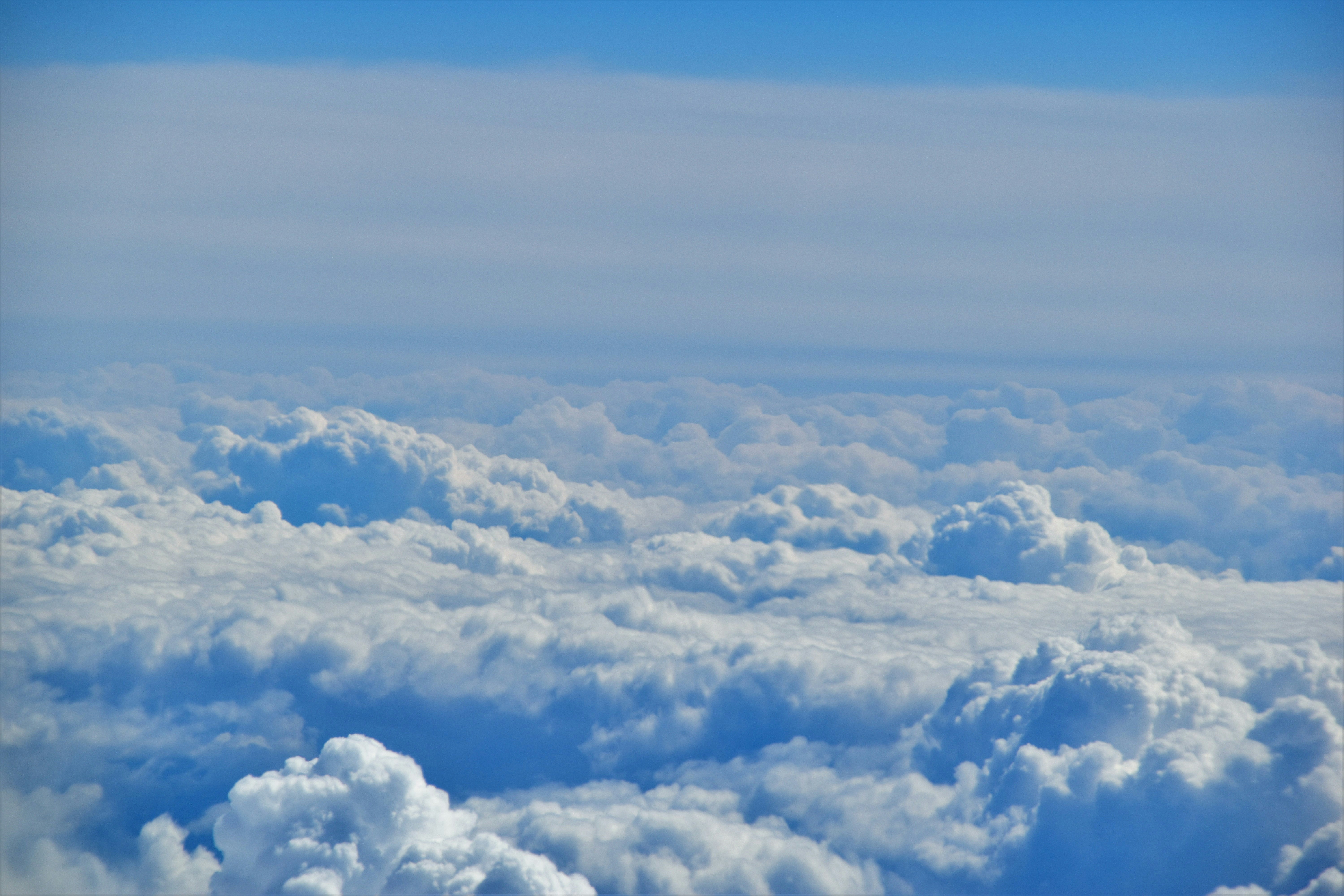 Fluffy white clouds stretch endlessly beneath a serene blue sky, creating a soft, dreamlike landscape from above.