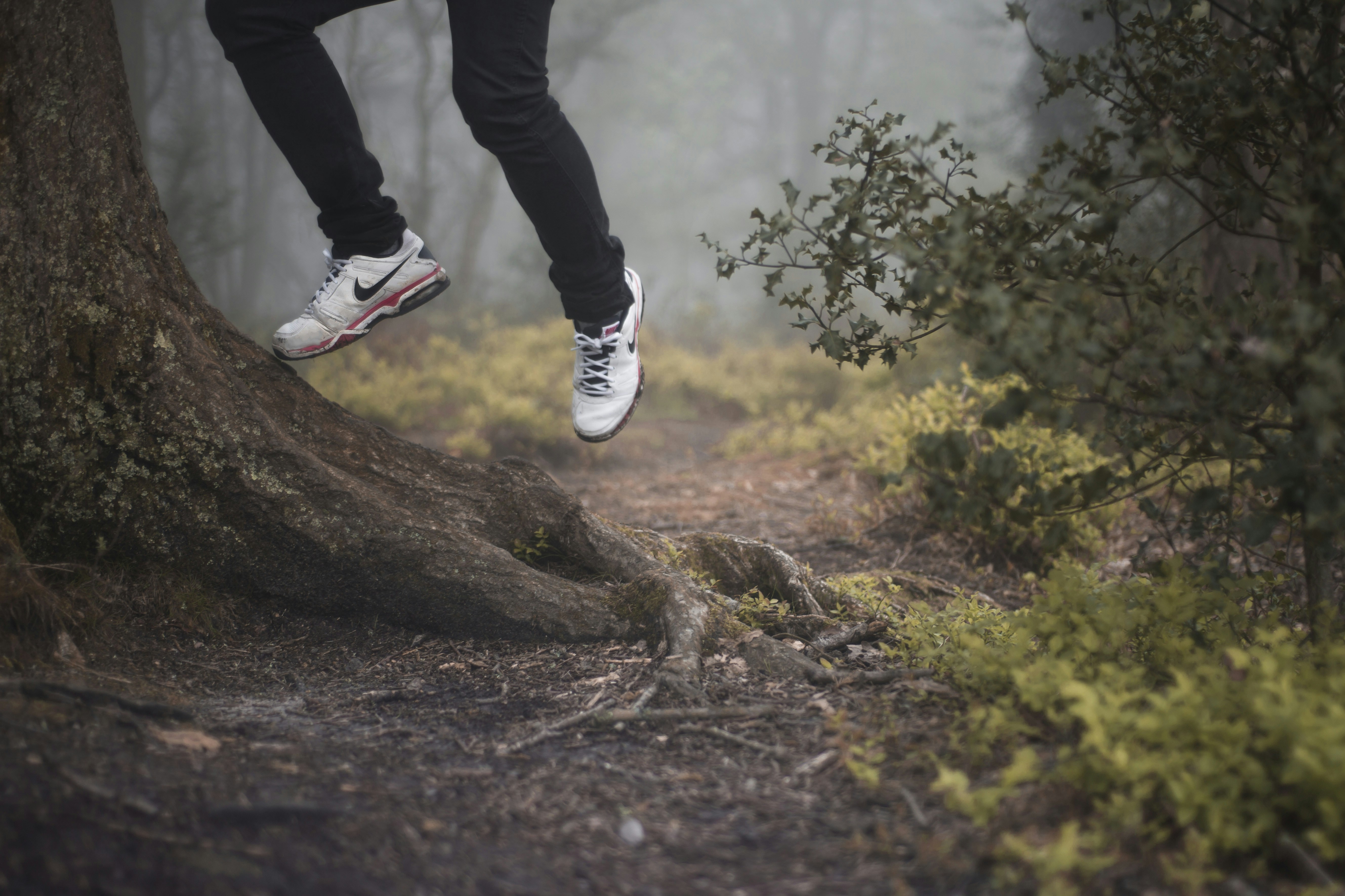 A person leaps above a moss-covered forest floor, framed by a misty atmosphere and a sturdy tree trunk. The scene conveys a sense of adventure and connection to nature.