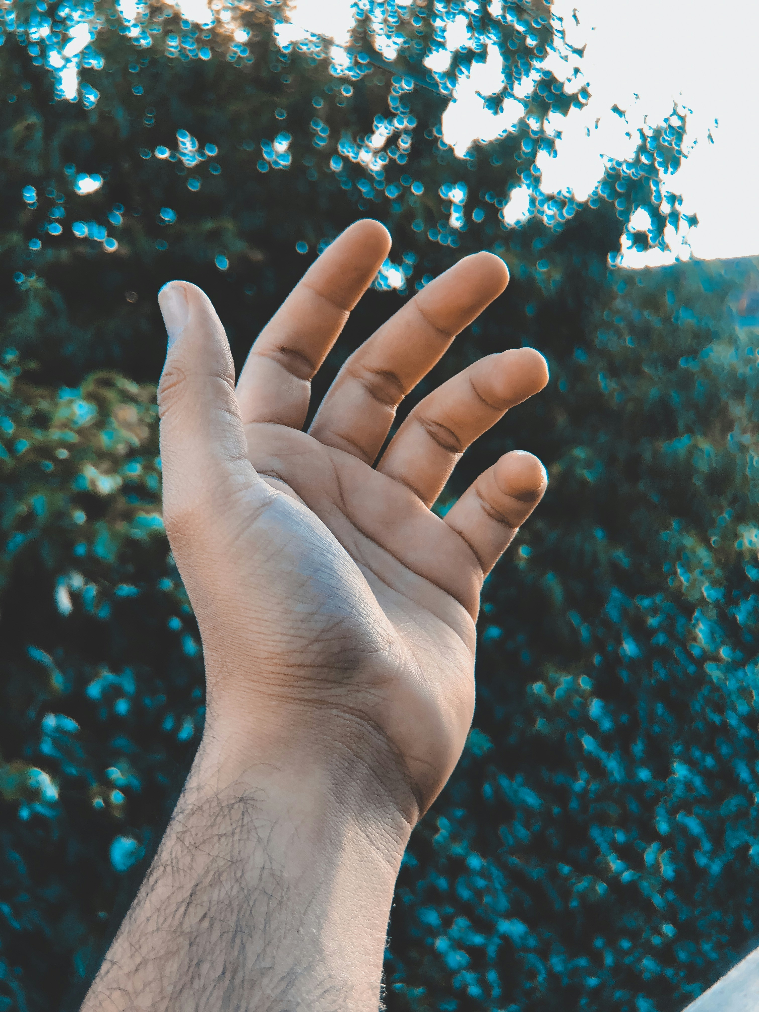 Person's left hand photo – Free Hand Image on Unsplash