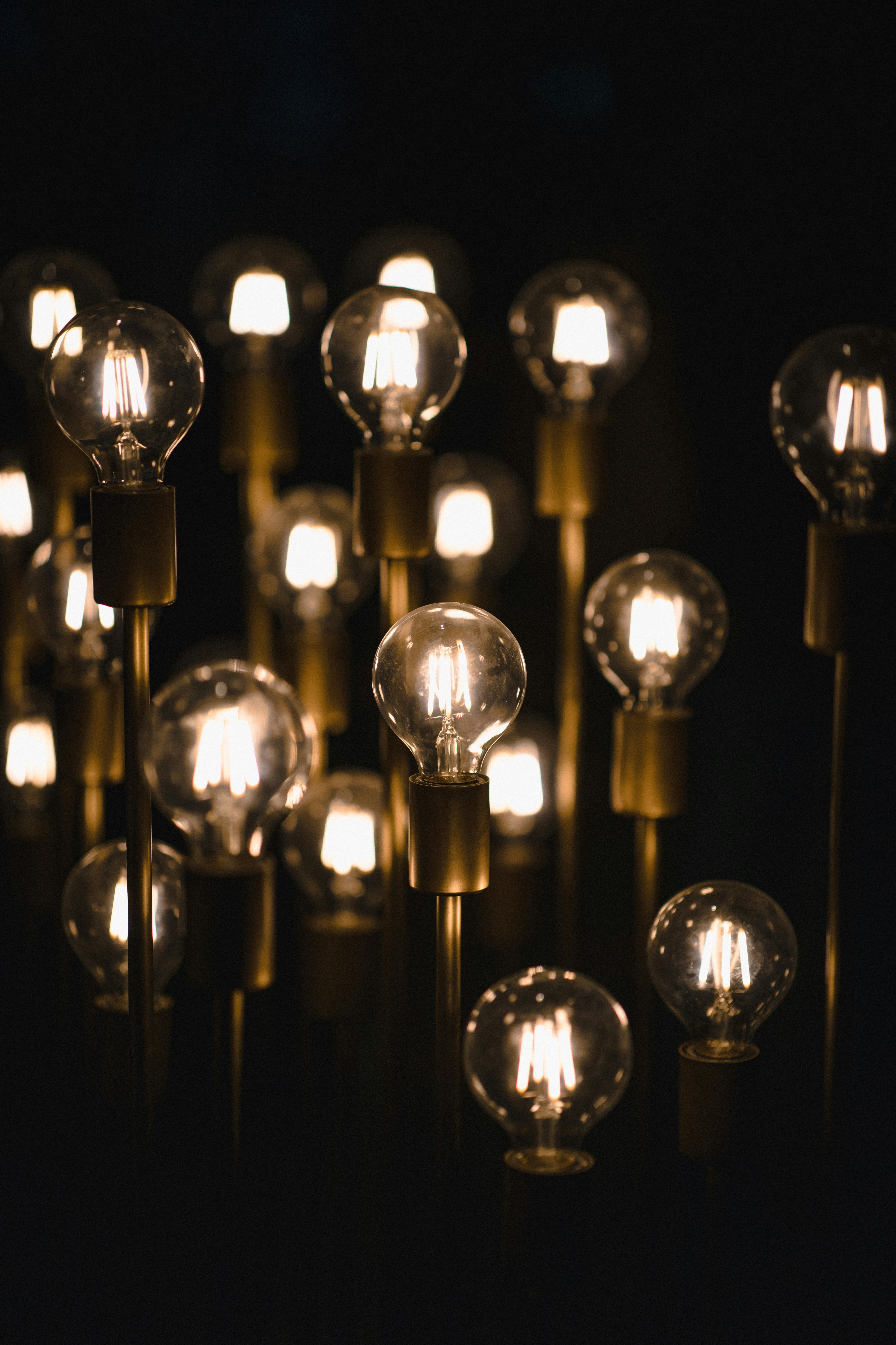 Turned on light bulbs photo – Free Light Image on Unsplash