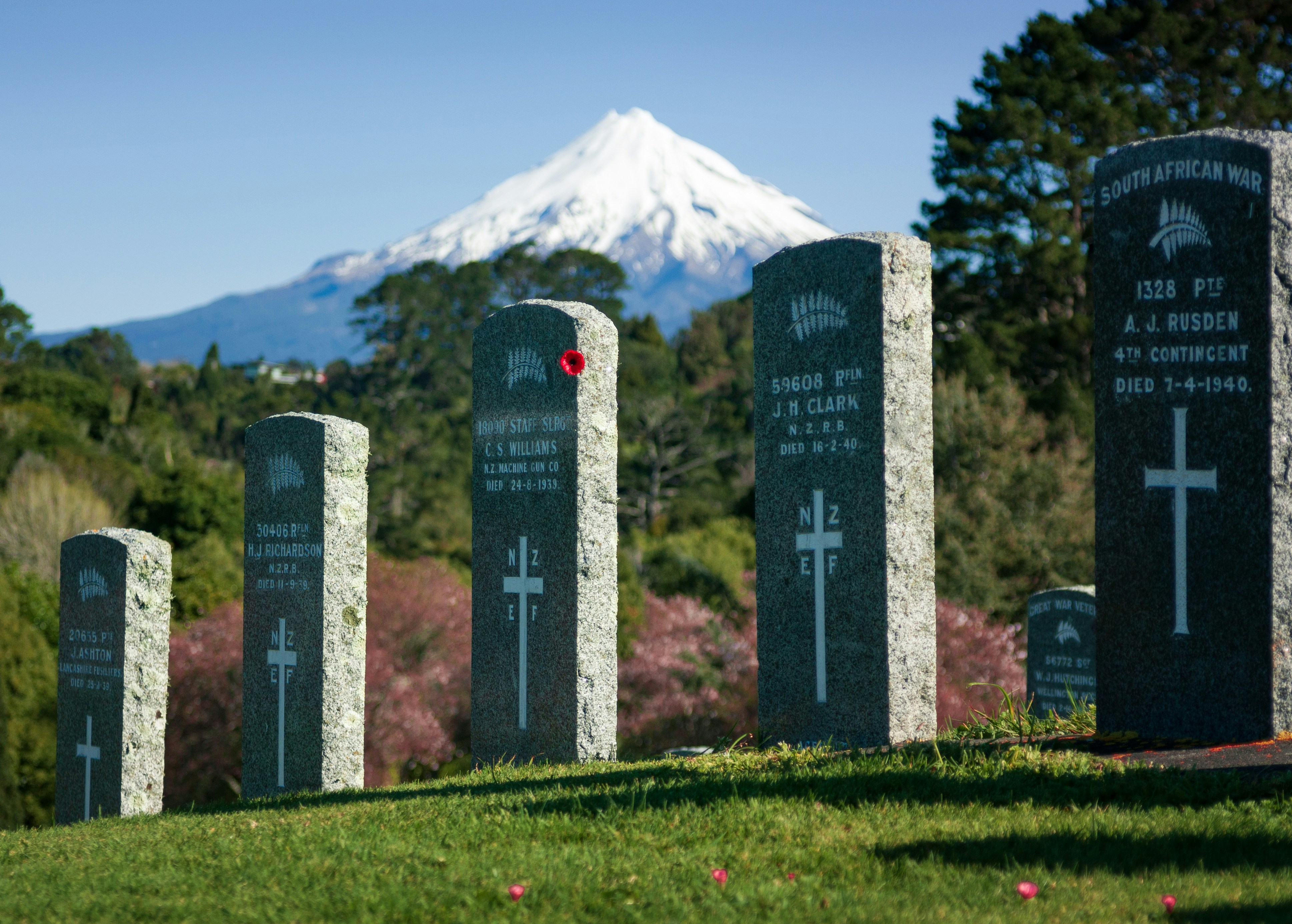 Five gray concrete graveyard tombs photo – Free Plant Image on Unsplash