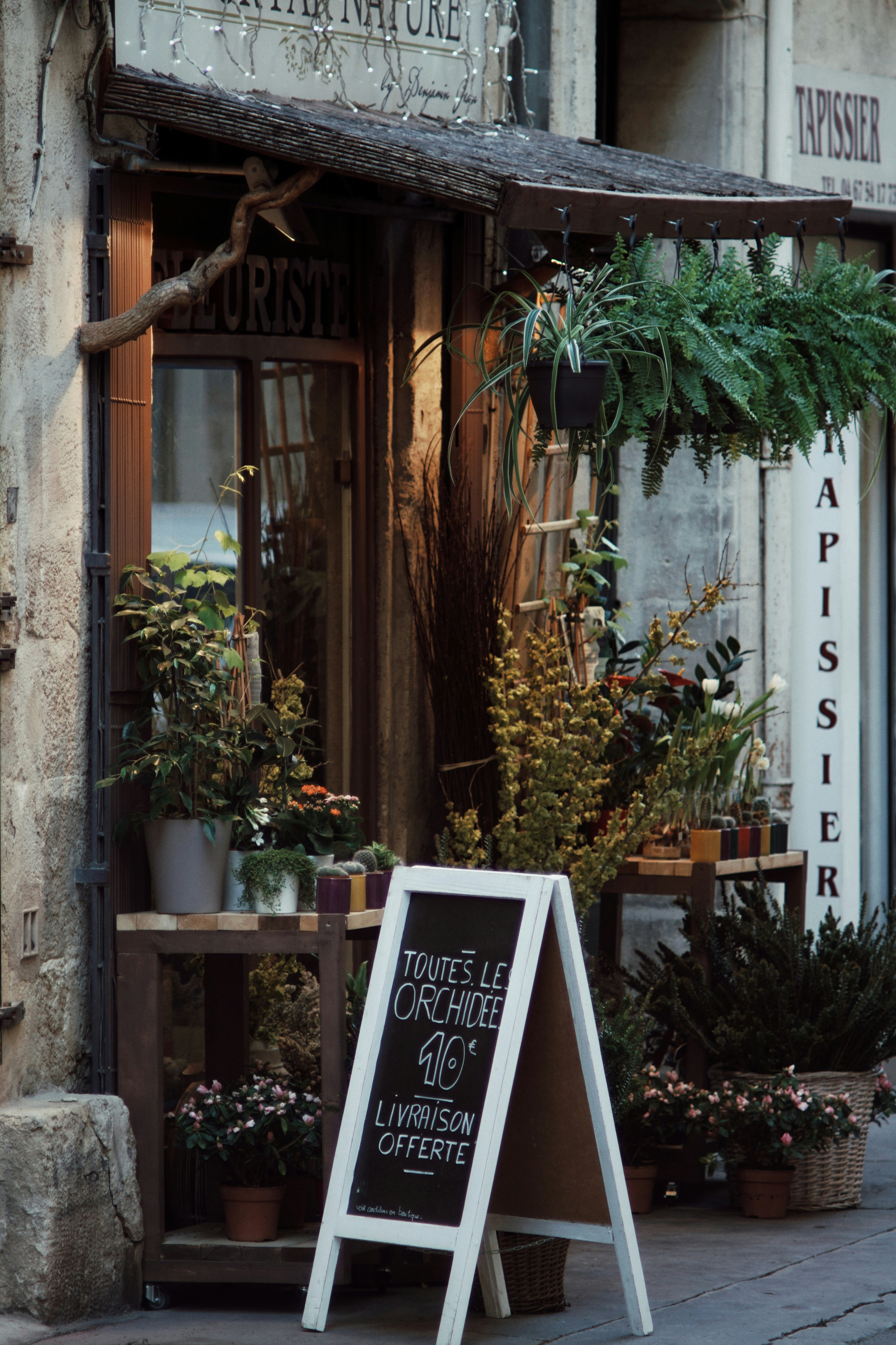 Charming flower shop entrance adorned with vibrant plants and a wooden sign advertising orchids for sale. The inviting atmosphere showcases nature's beauty amidst urban surroundings.