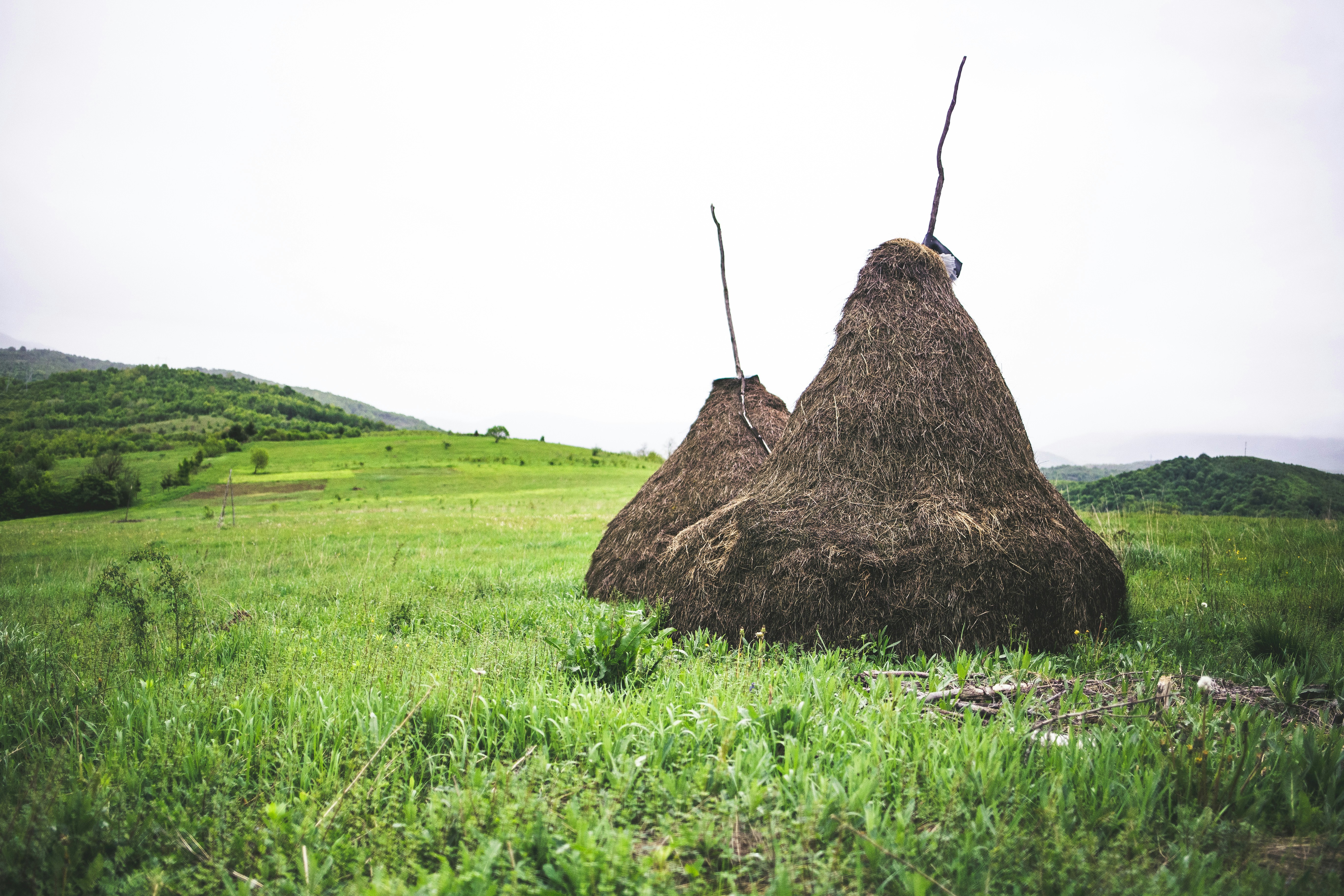 Two traditional haystacks stand proudly in a lush green field, surrounded by rolling hills under a soft, overcast sky.