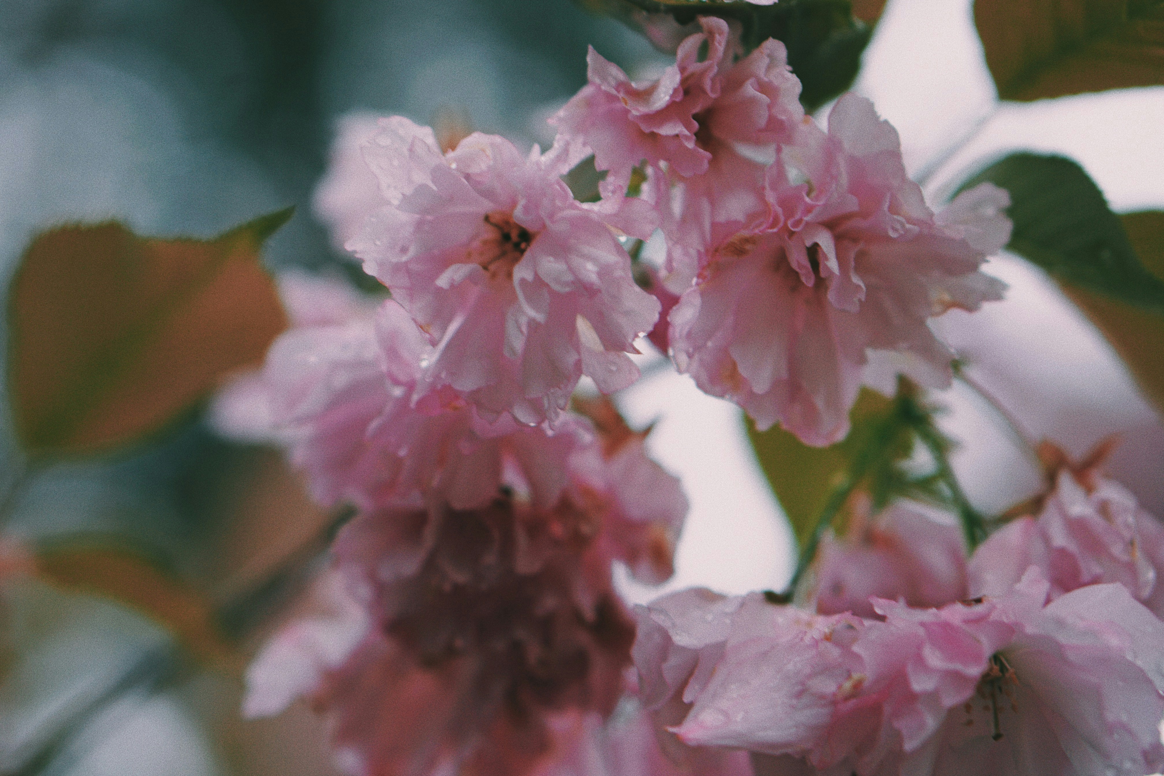 Photo by Oleg Ivanov with Sony Alpha 6300