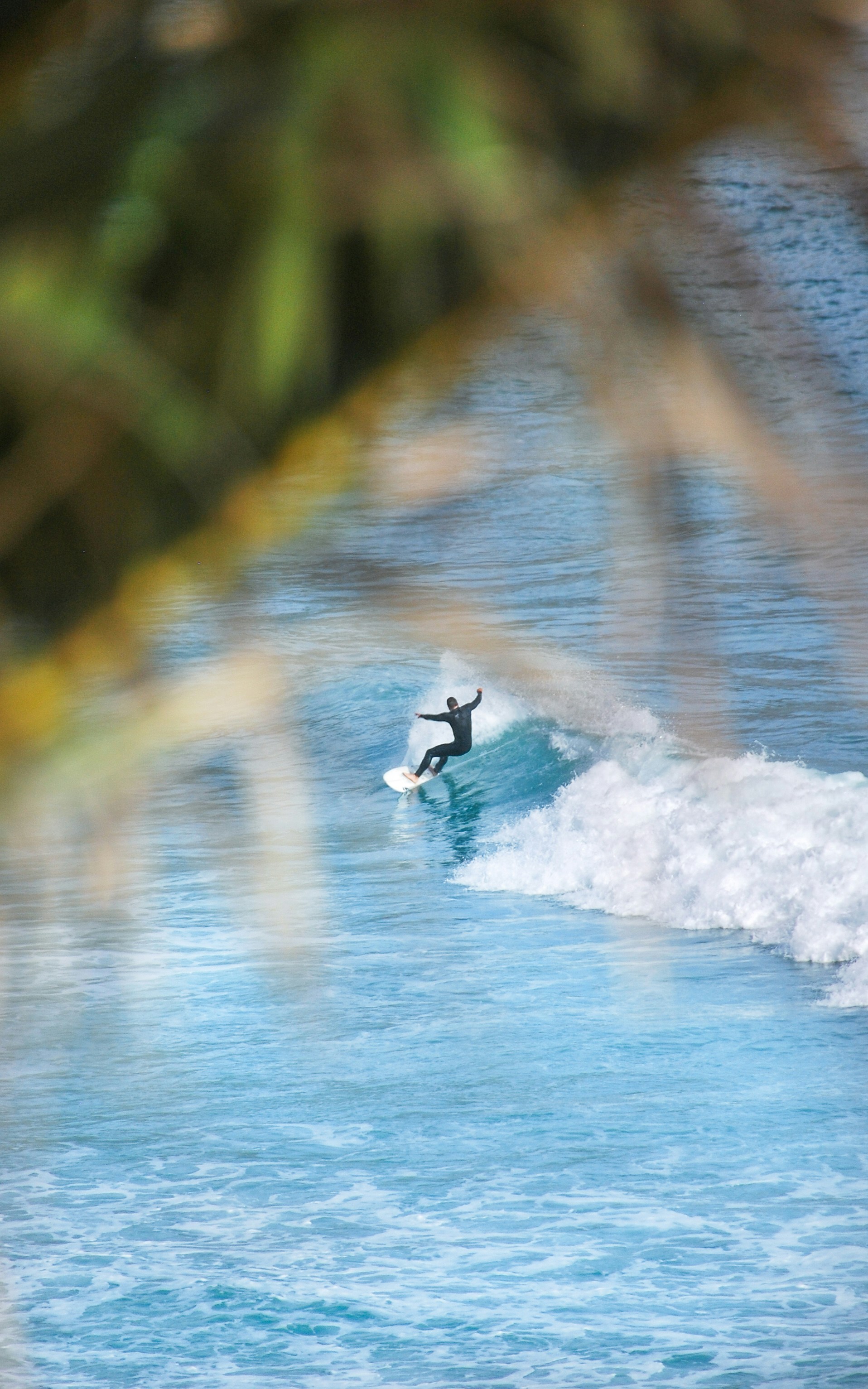 Person riding surfboard in ocean photo – Free Cape town Image on Unsplash