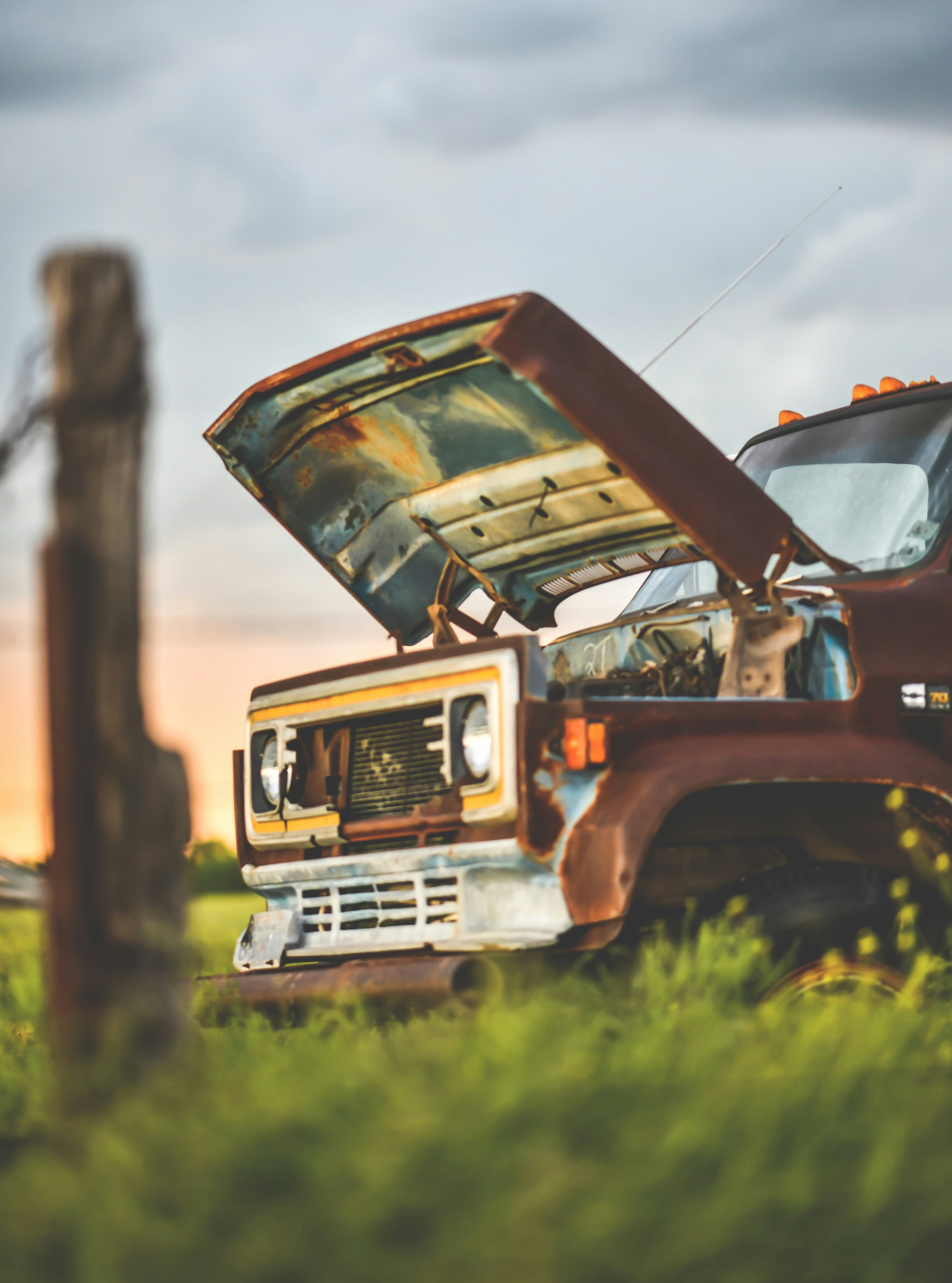Rusting Leviathan: A Ford F-150 Blunder in a Wind-Swept Field