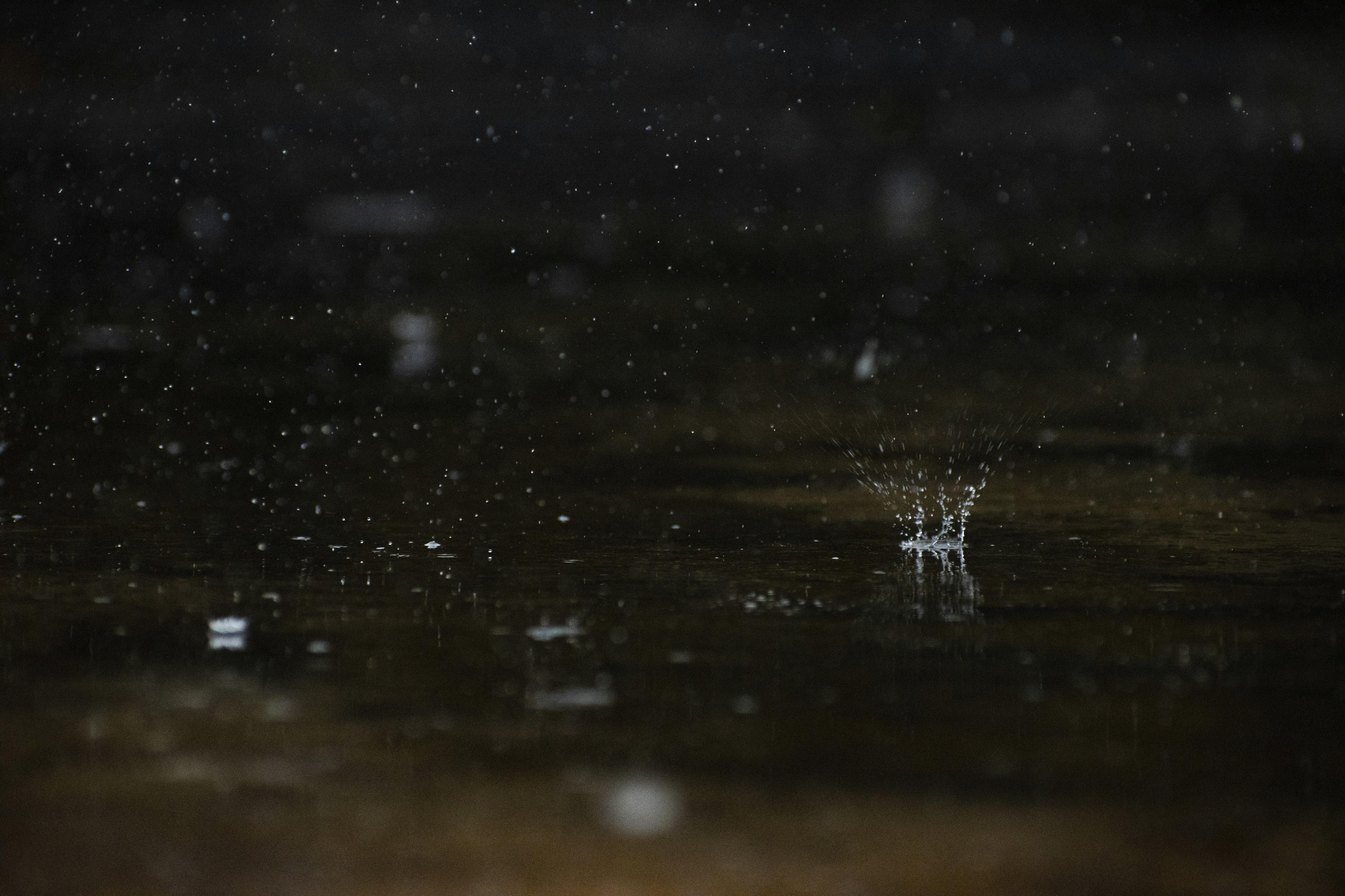 Raindrops creating ripples on a dark, reflective surface, capturing the essence of a rainy day.