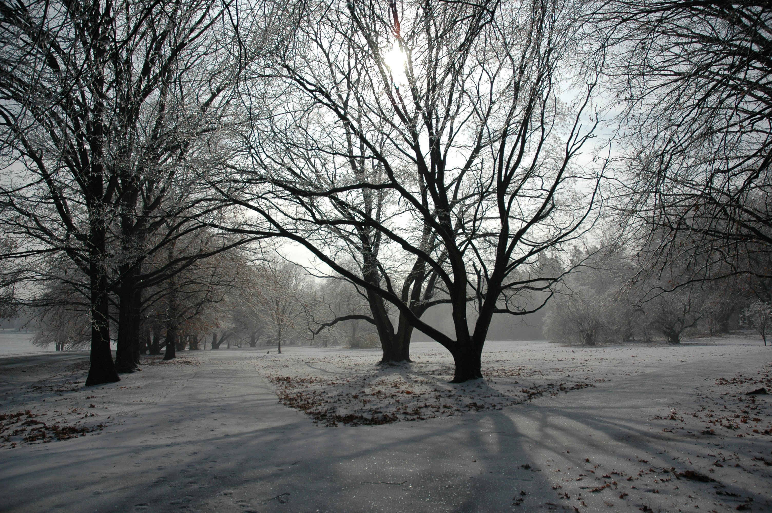 Peter Gargiulo (@grndezyns) | Unsplash Photo Community