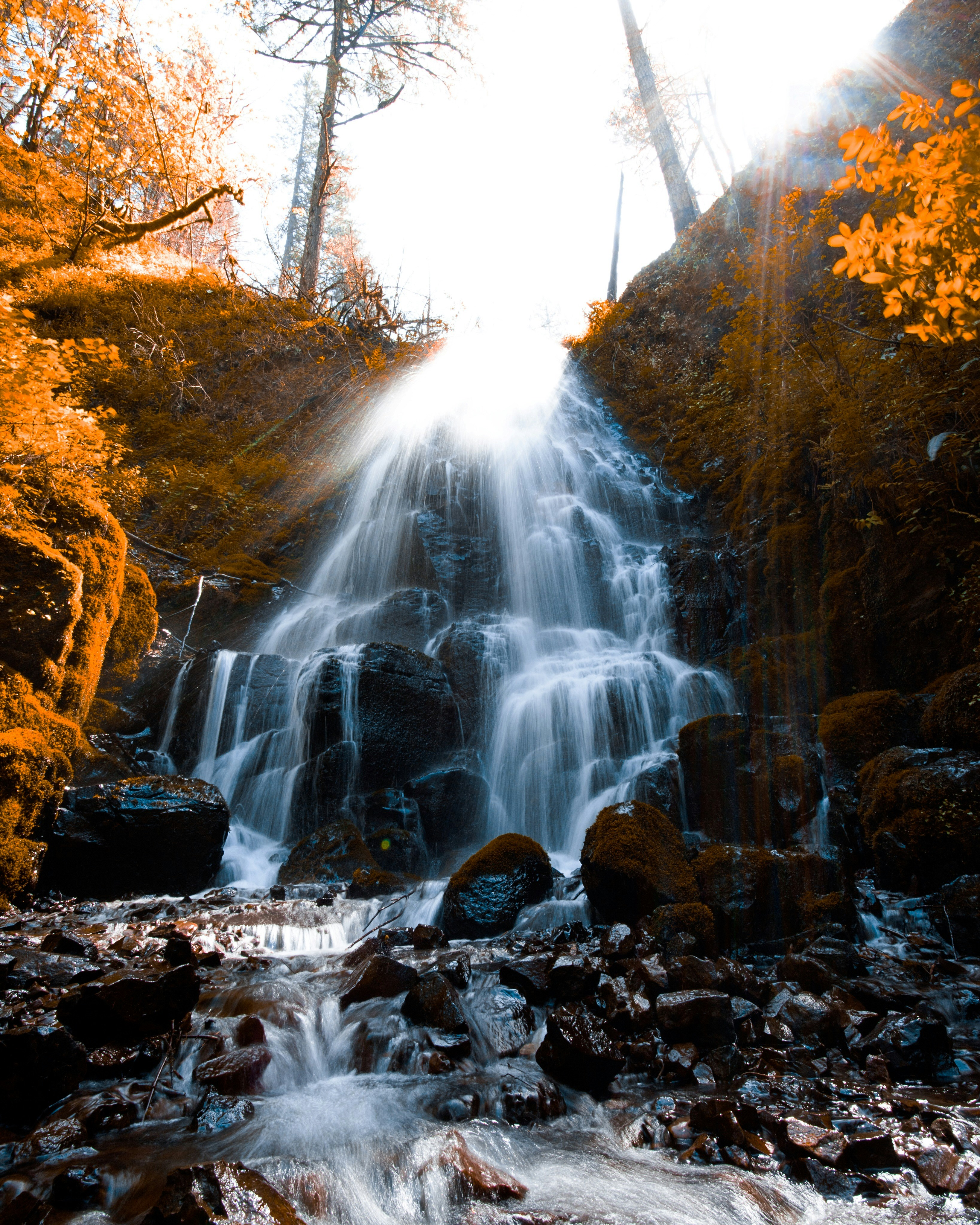 Waterfall surrounded by trees during daytime photo – Free United states ...