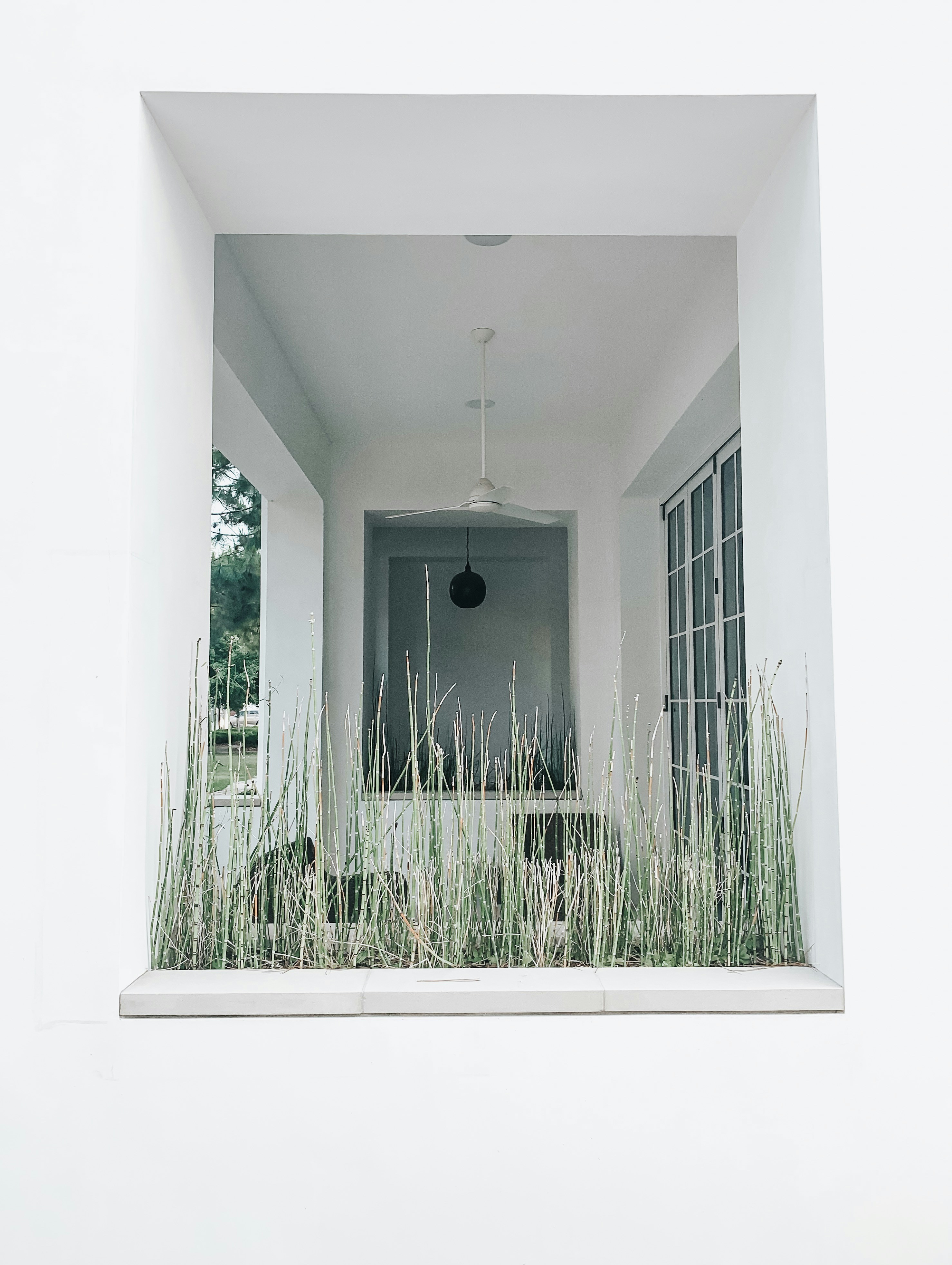 Framed Atrium: White Geometry, Tall Grass, and a Distant Pendant