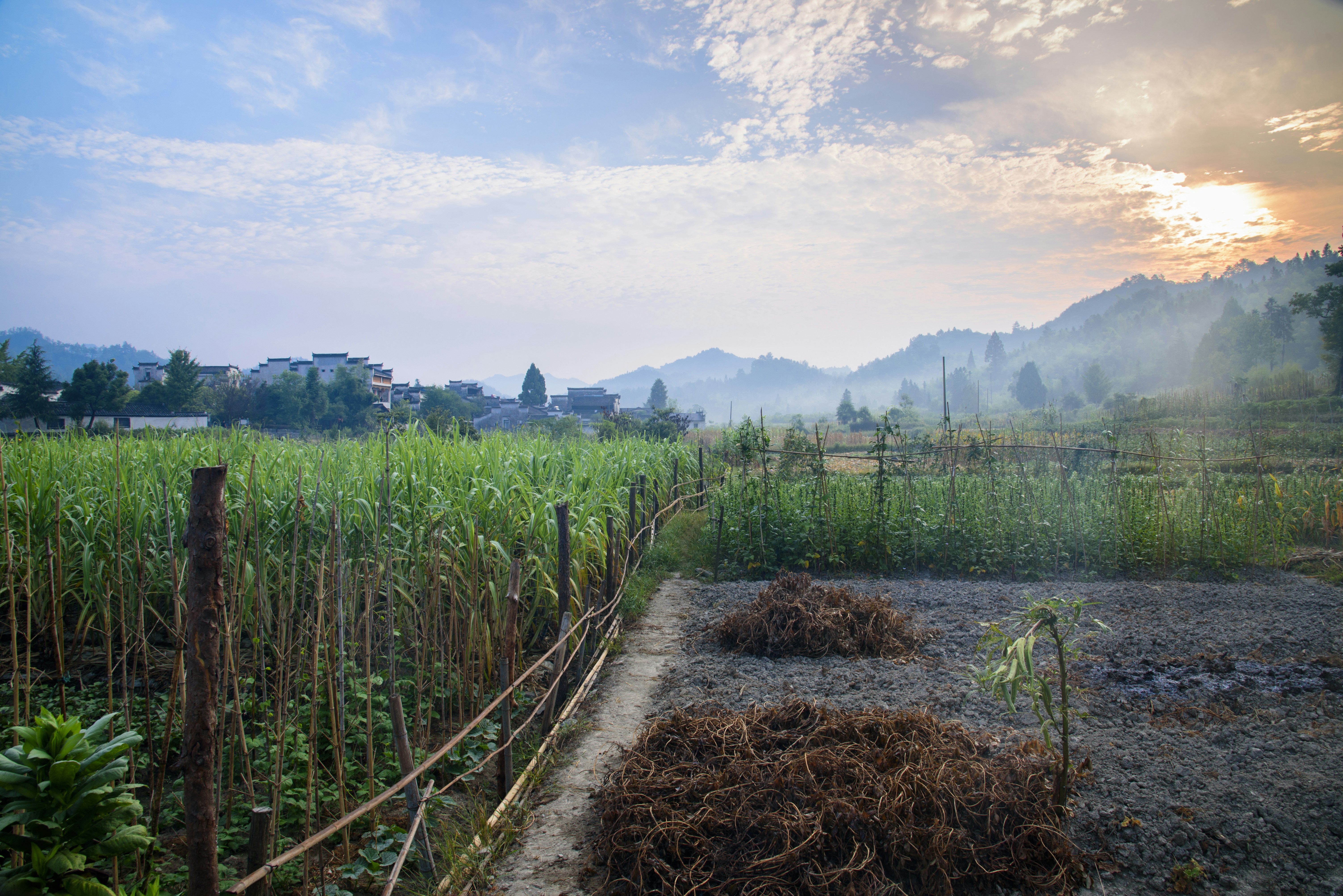 Lush green fields stretch towards the horizon, framed by misty mountains and a soft sunrise. The tranquil rural landscape captures the essence of early morning serenity.