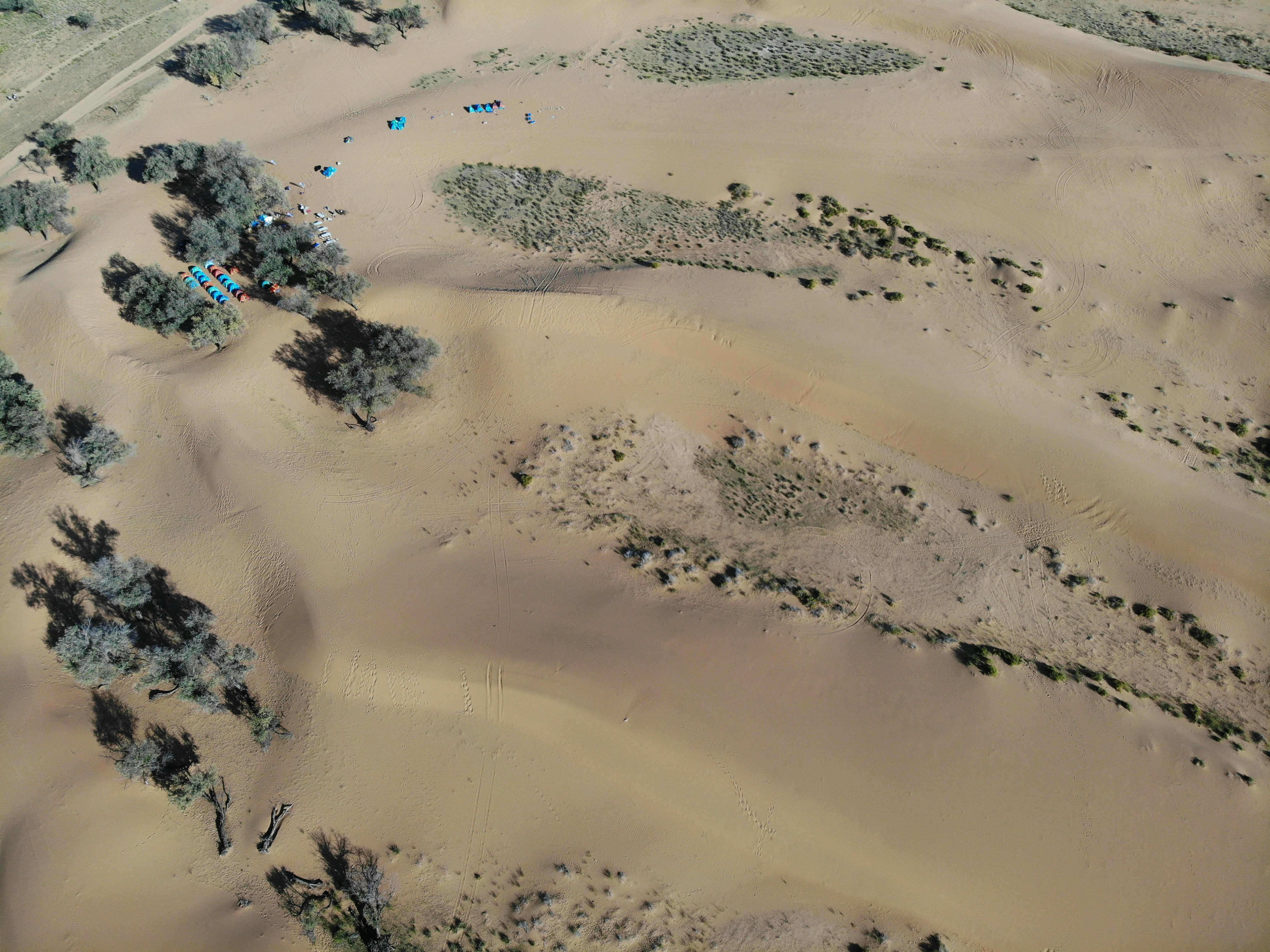 An aerial view of a sandy area with trees photo – Free Alxa Image on ...