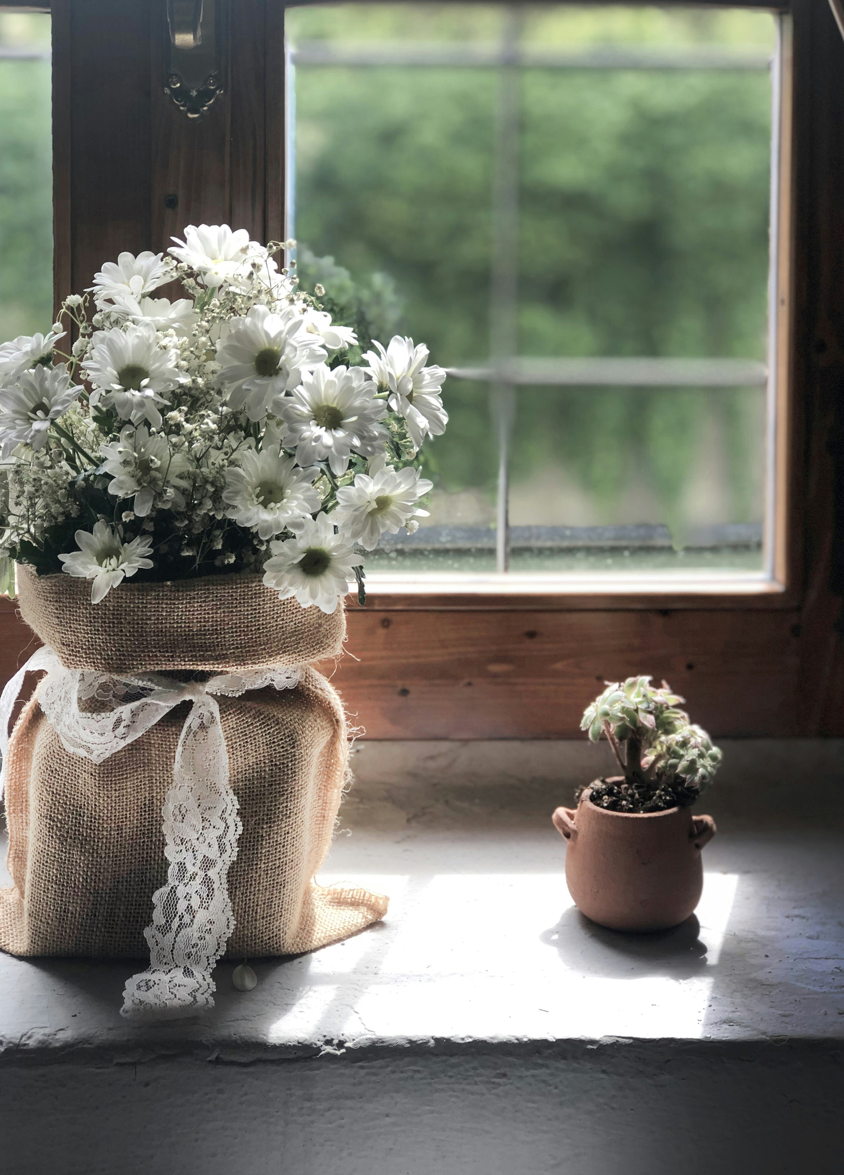 Daisy Bouquet in Burlap and Lace by a Sunlit Window