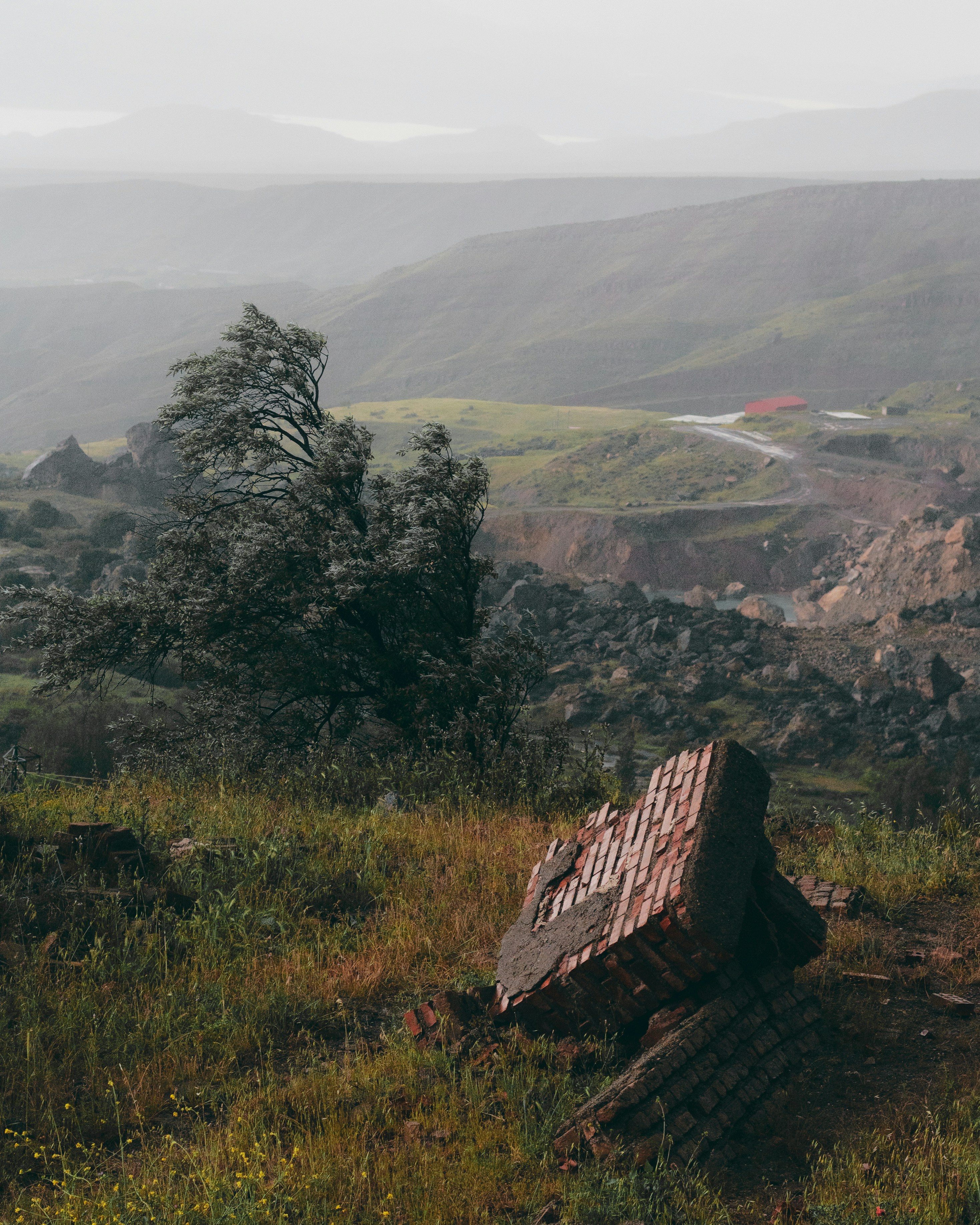 Green tree photo – Free Guilan Image on Unsplash