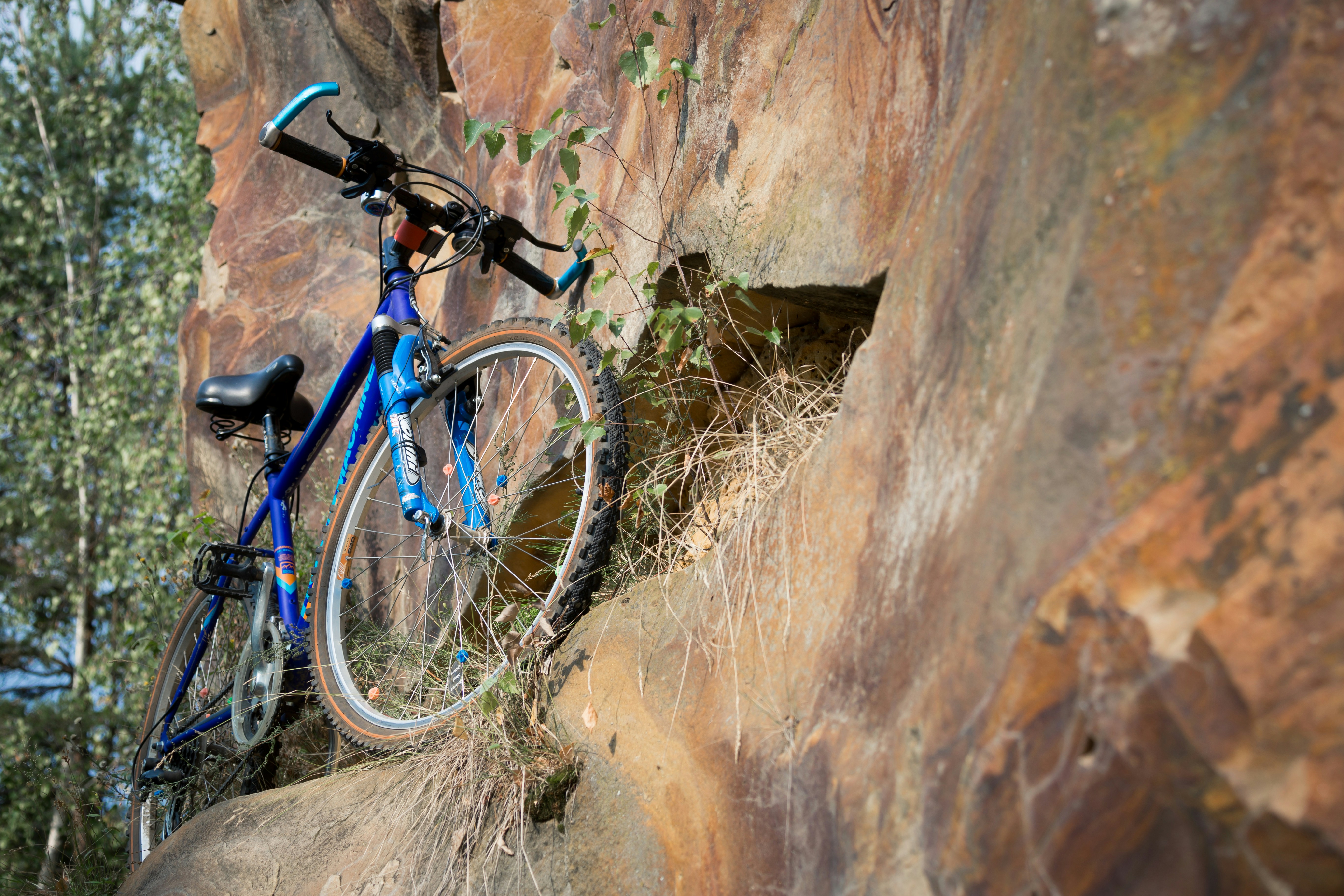 Blue Mountain Bike Confronts a Sunlit Sandstone Cliff