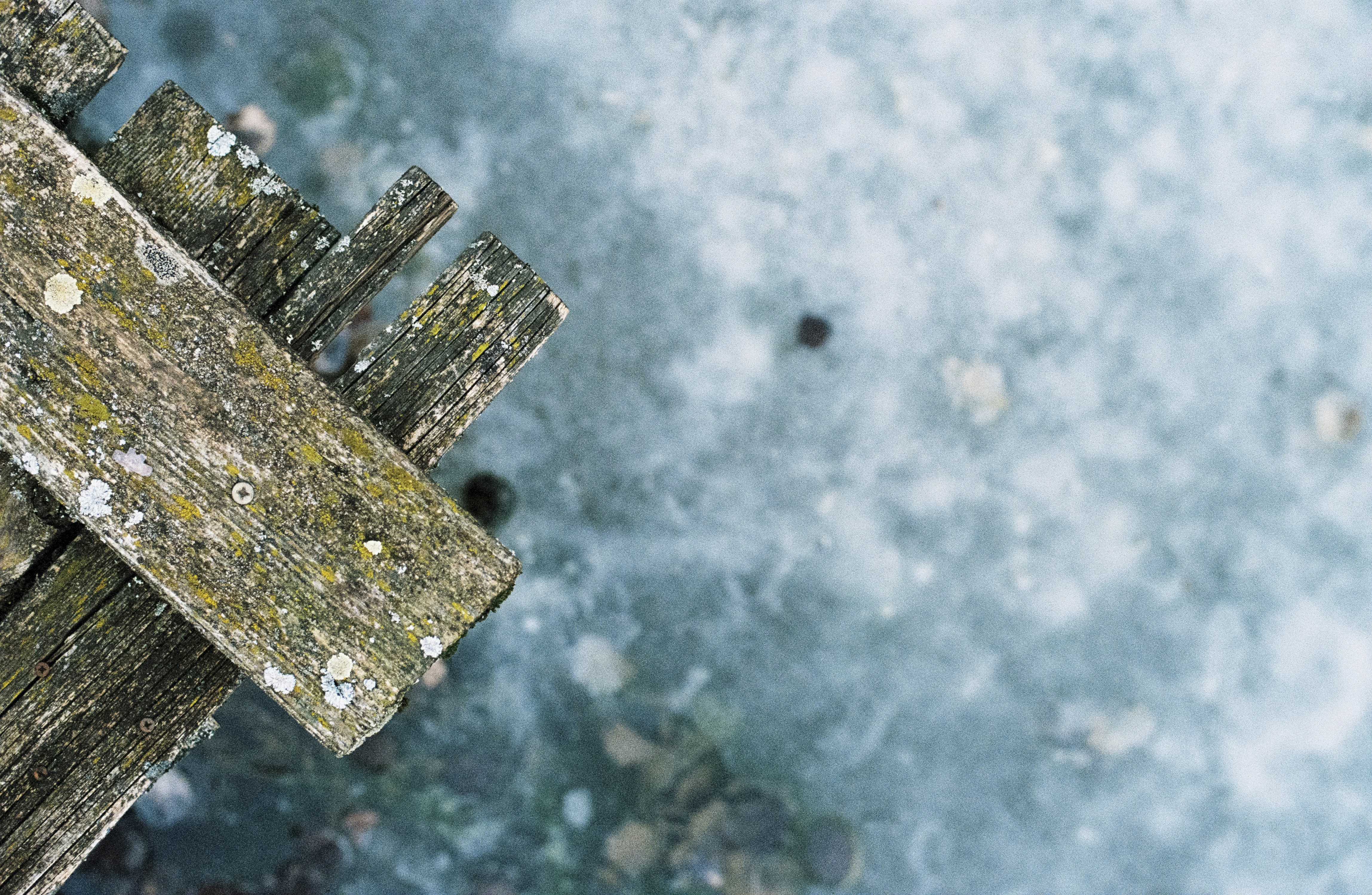 Aged wooden dock over partially frozen water with patches of green moss.