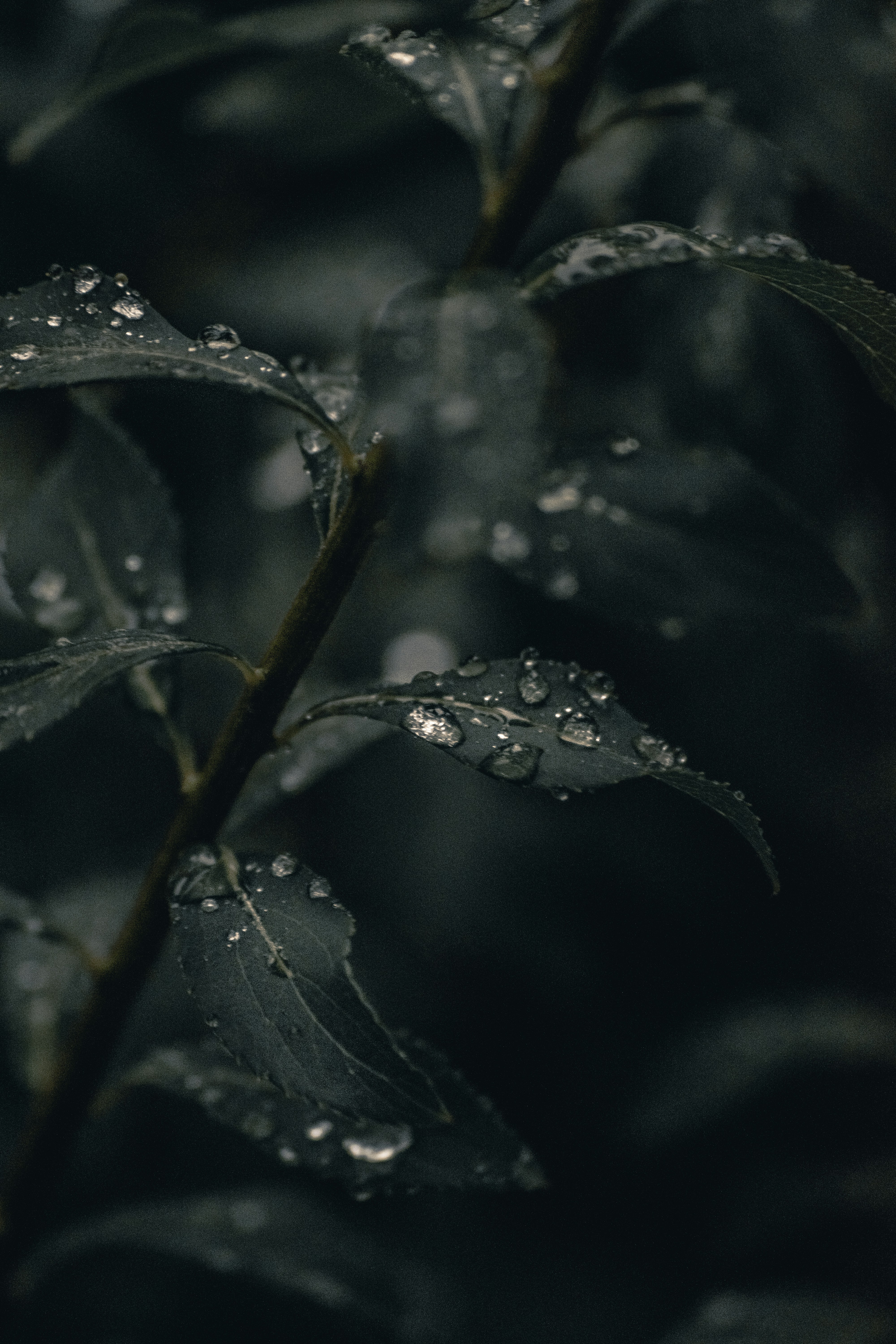 Nikon D5300 + Tamron SP 70-300mm F4-5.6 Di VC USD sample photo ...