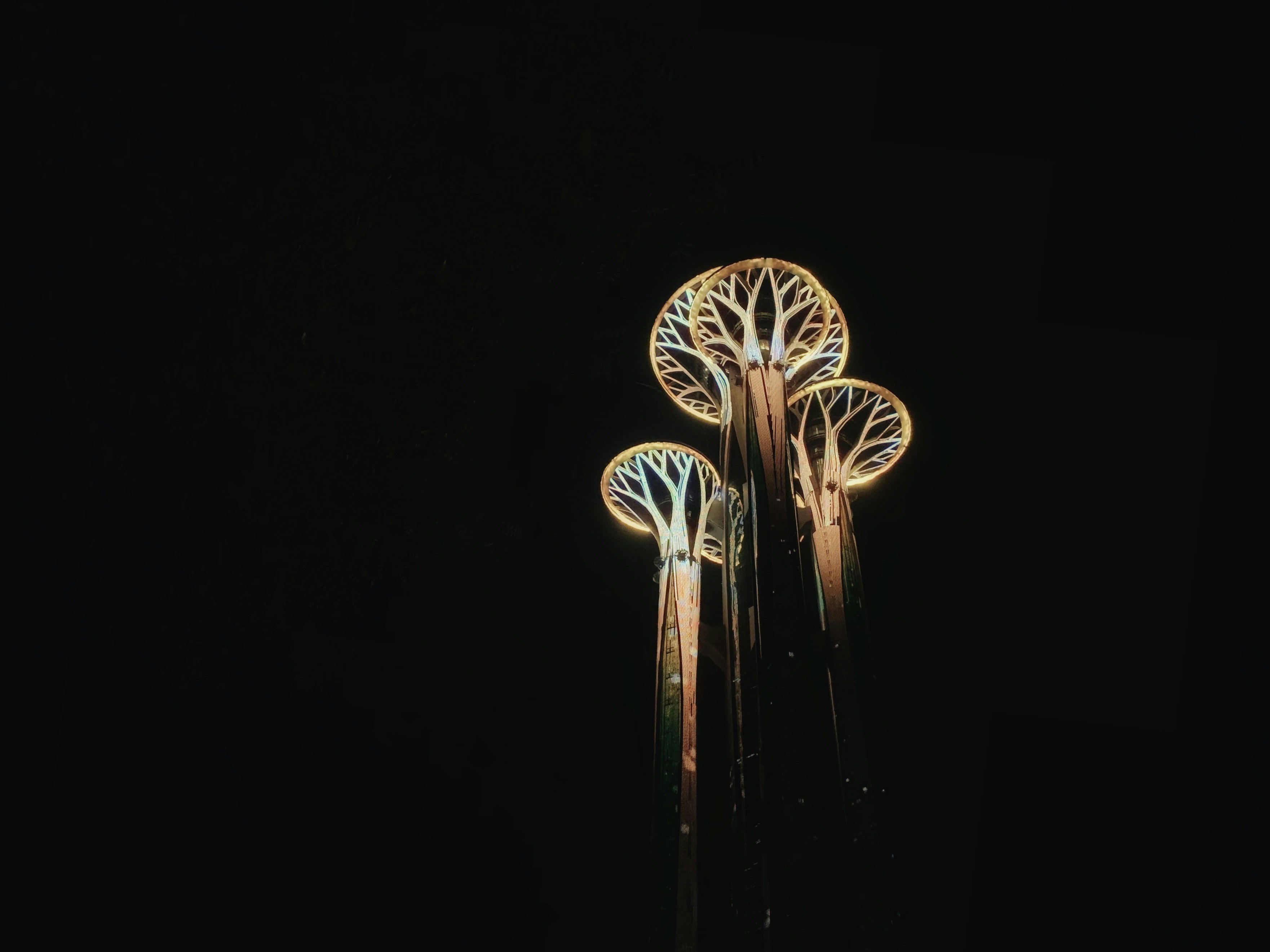 Three towering, illuminated structures resembling trees against a dark sky. The lights create an enchanting atmosphere.