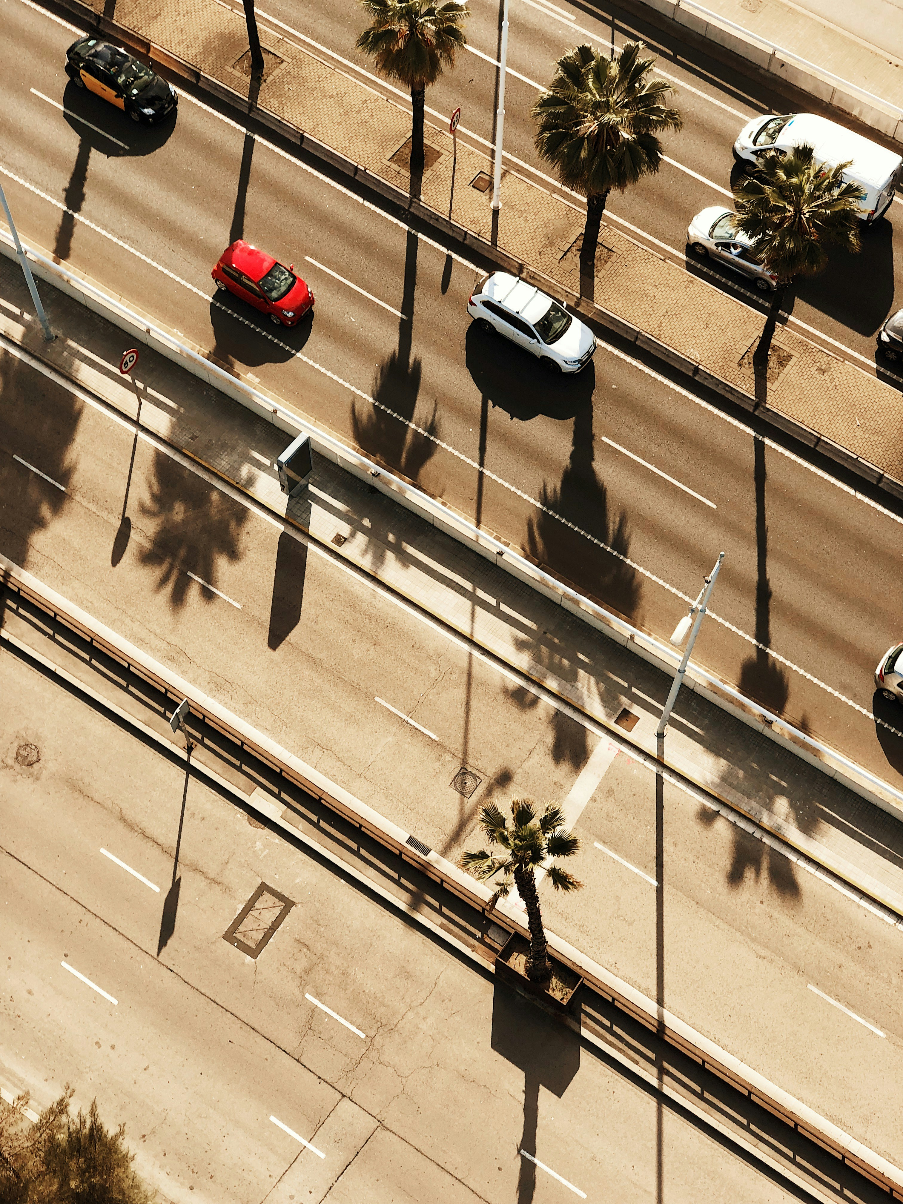 Shadowed Palm Street: Aerial Traffic in Golden Hour