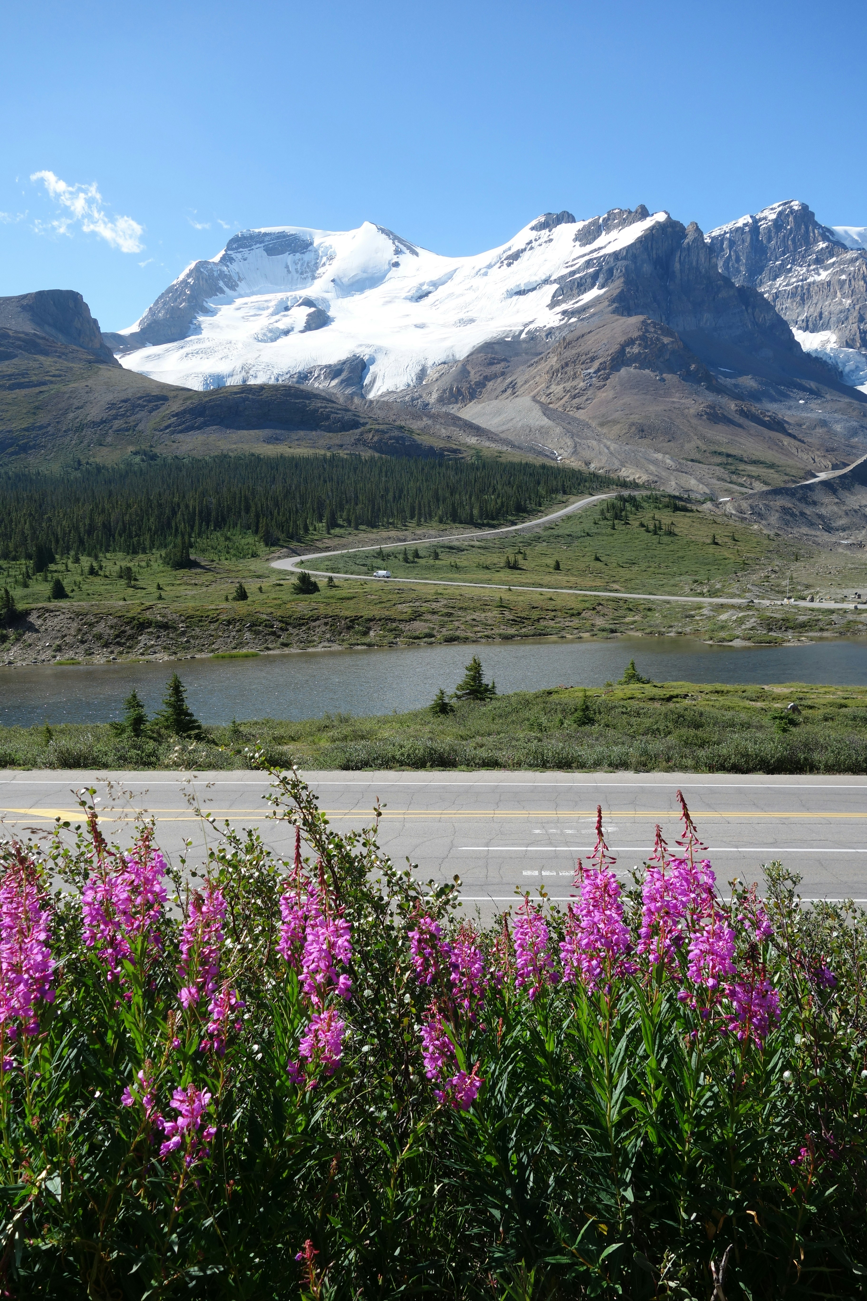 Crystal Peaks, Serpentine Valley, and Magenta Blooms