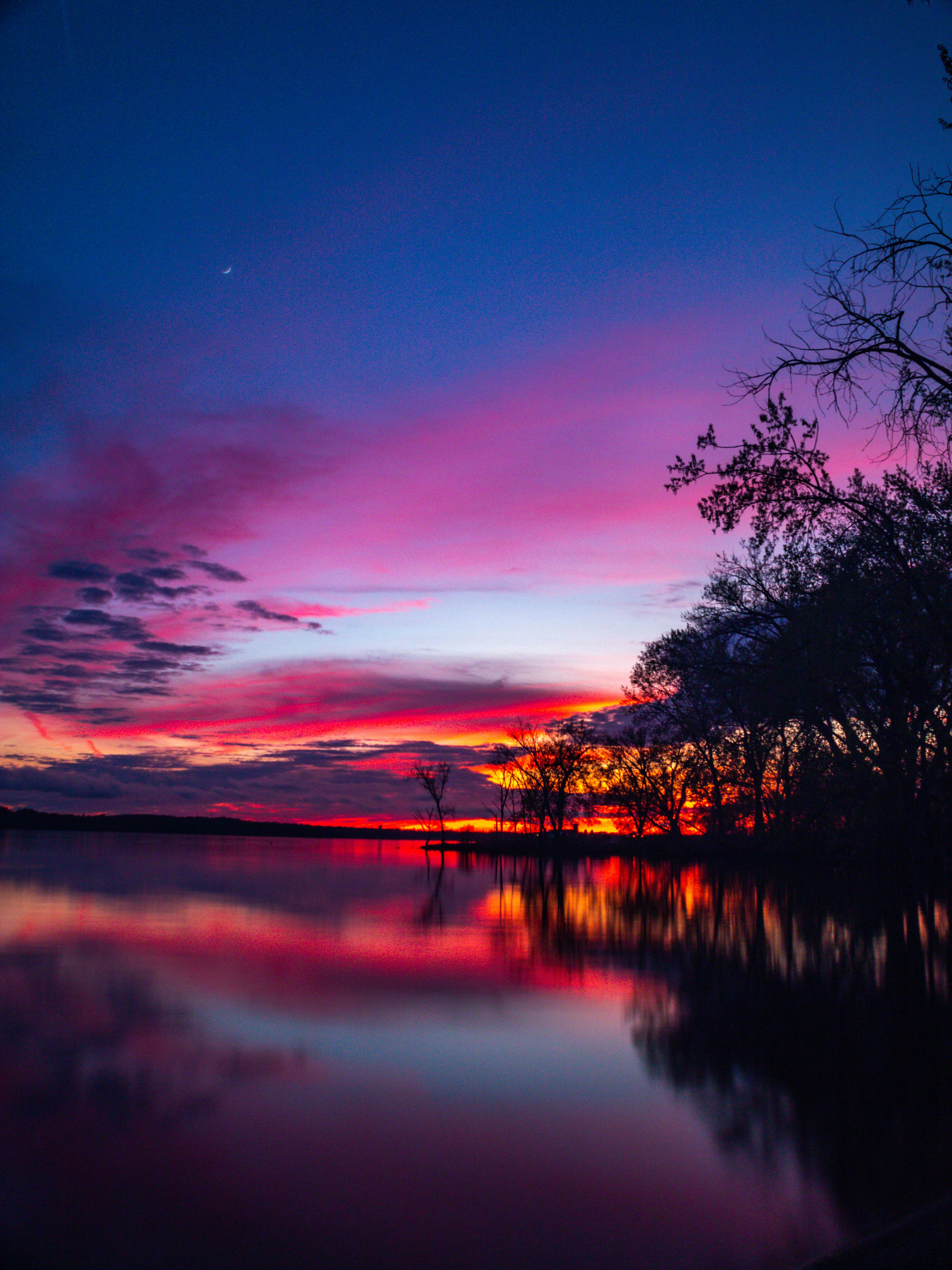 Dusk over the Quiet Lake: Silhouetted Trees Meet a Velvet Sky
