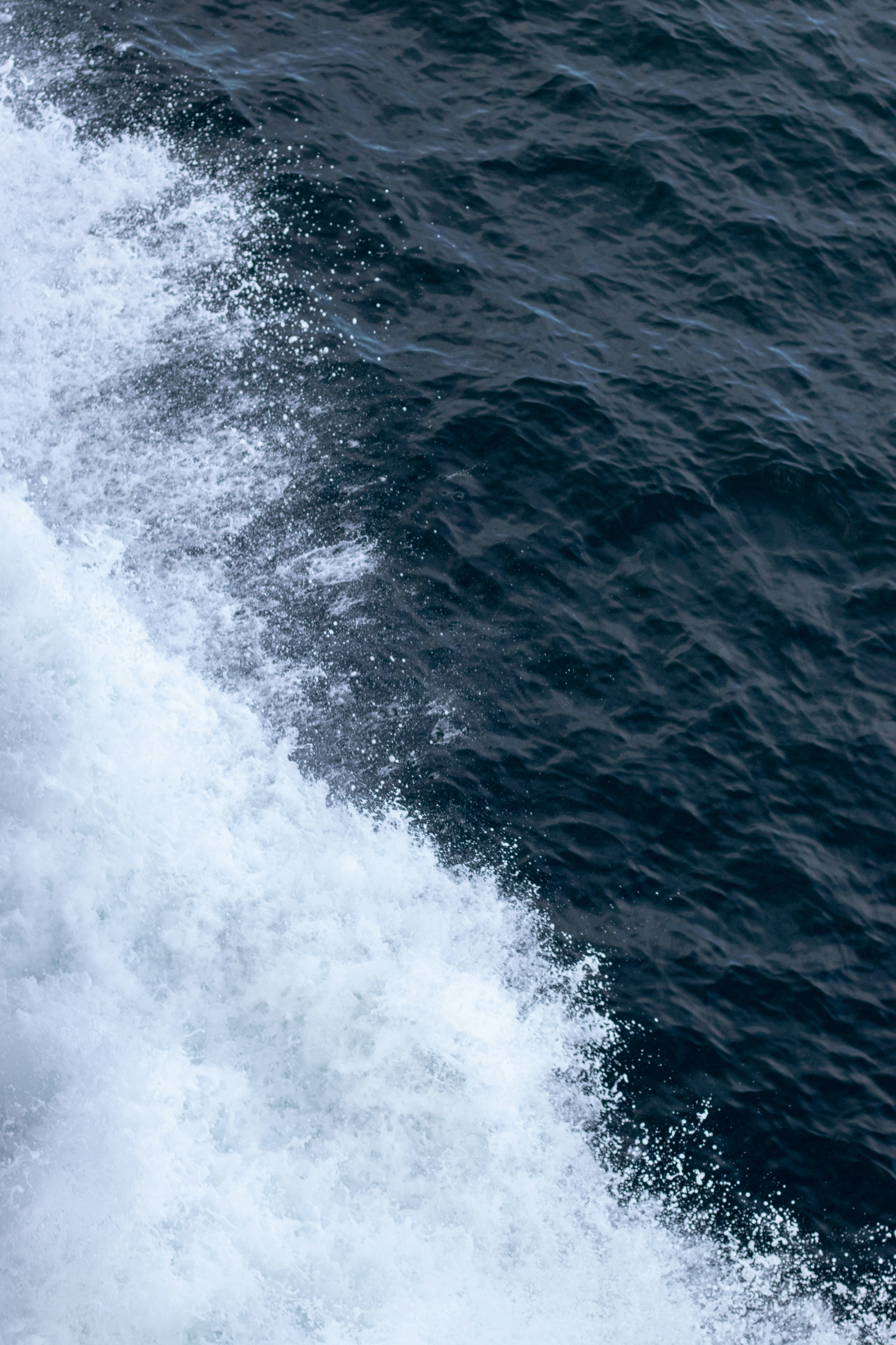 Splash Of Water Pictures | Download Free Images on Unsplash