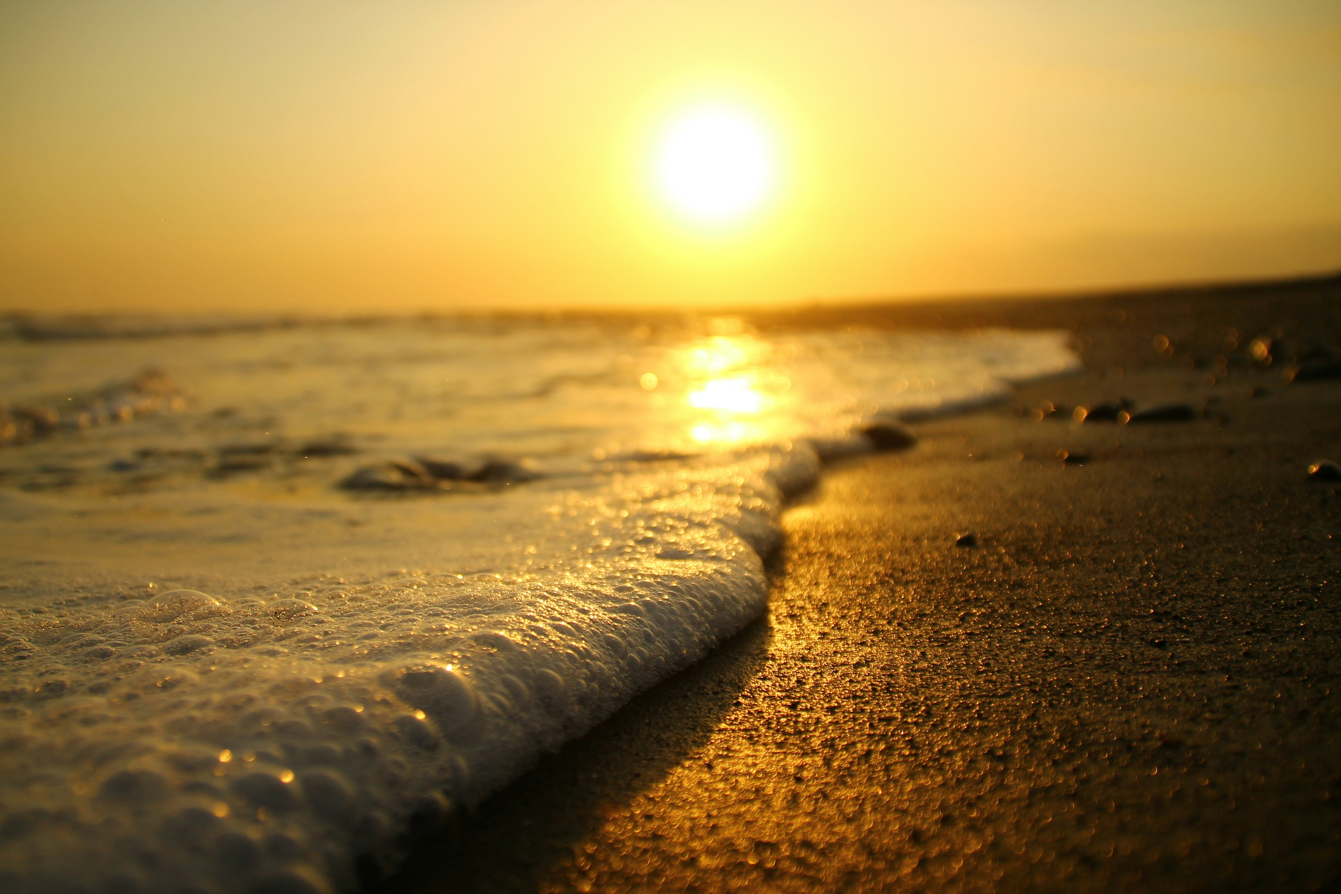 Thibault Garnier (@thibault_garnier) | Unsplash Photo Community