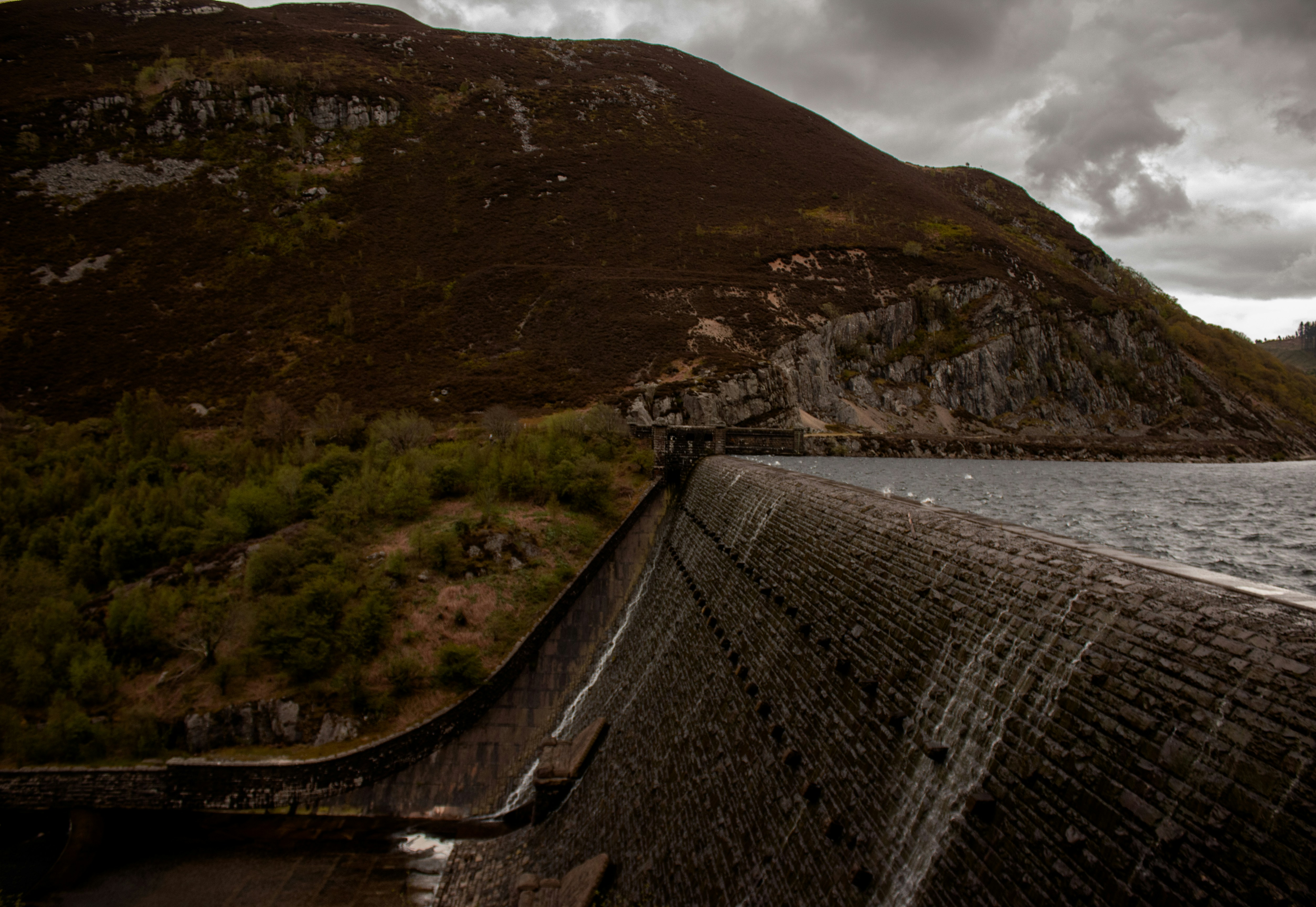 Définition de élan | Dictionnaire français