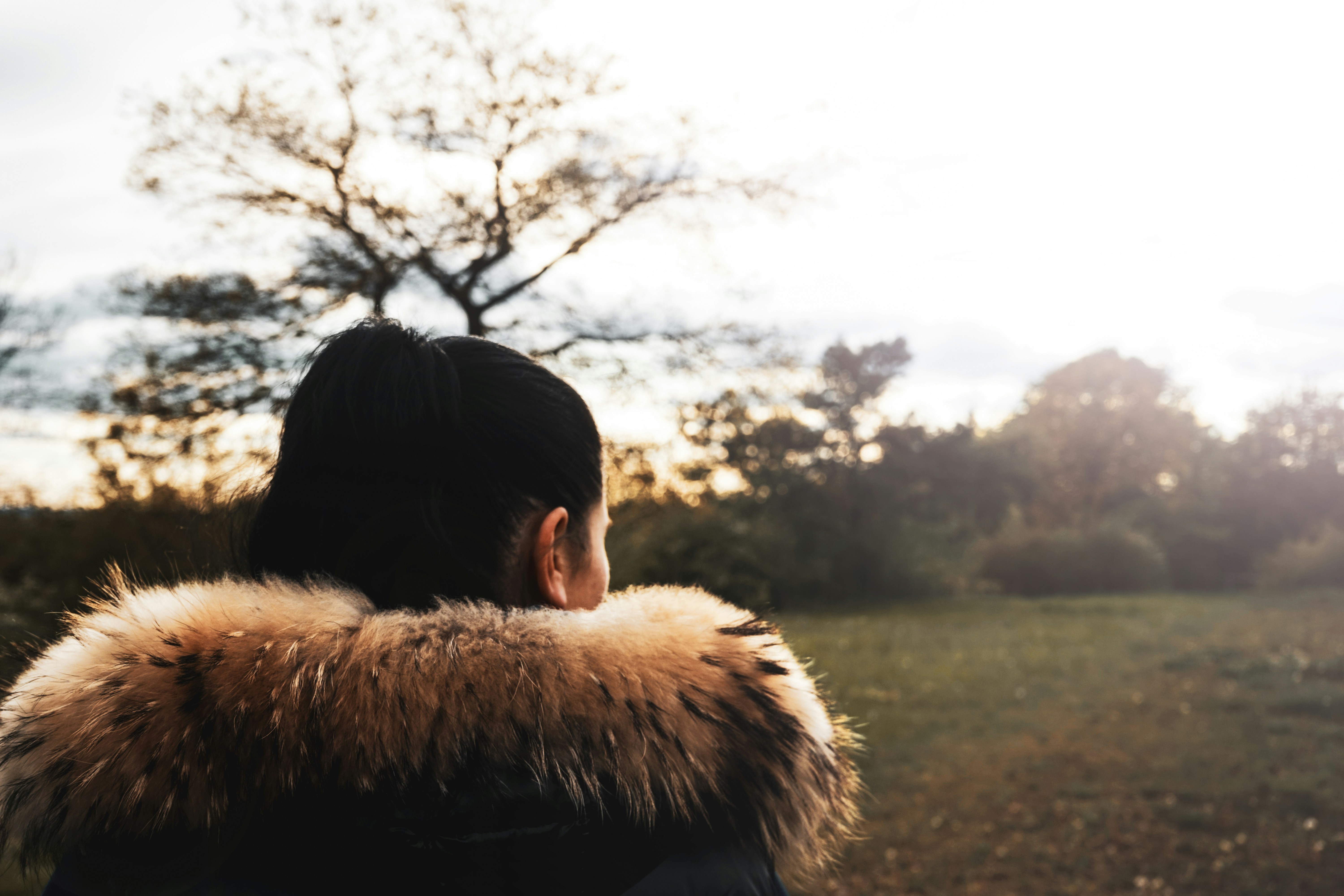 Backlit Resolve: The Fur-Collared Moment in Evening Light