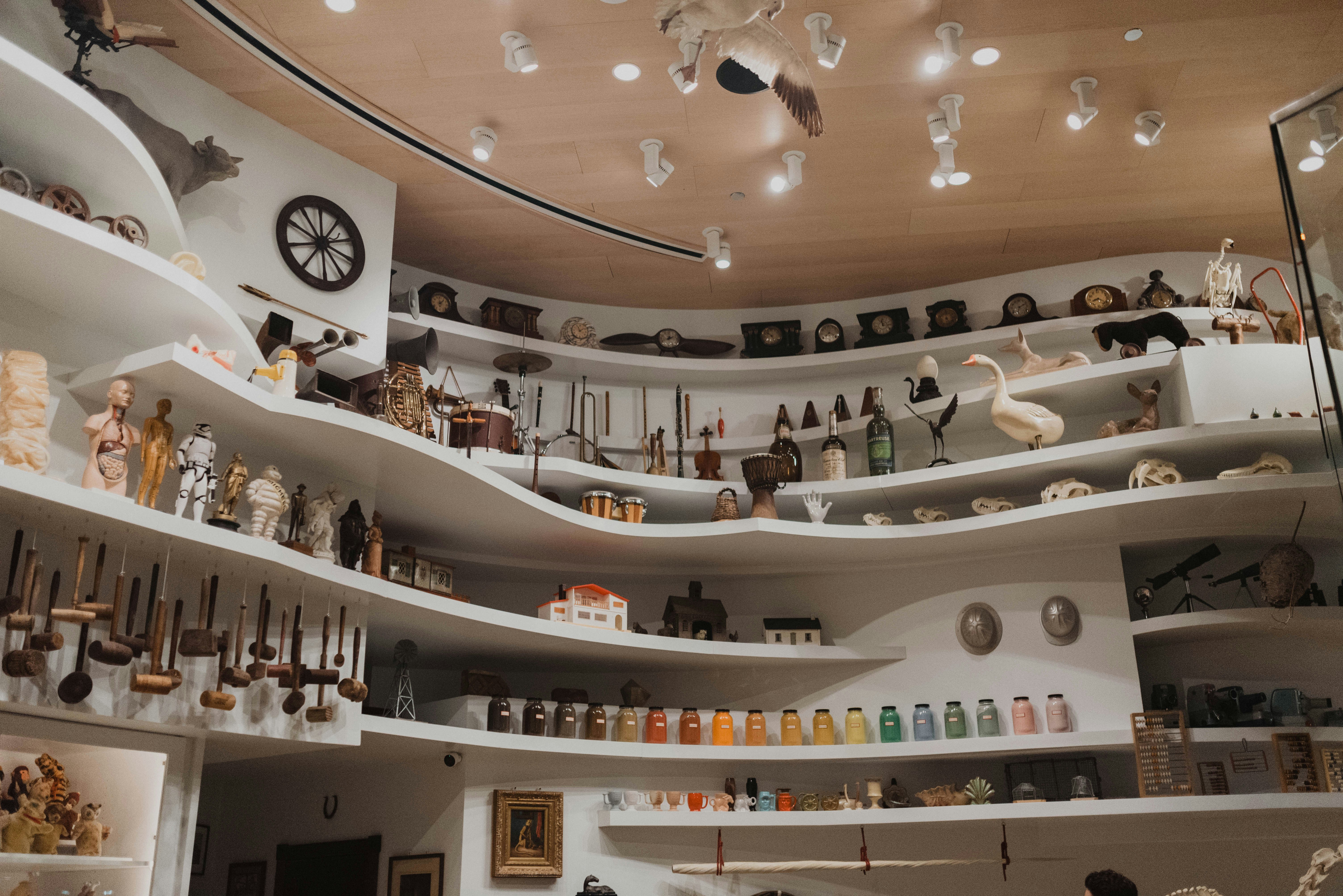Wall-mounted shelves displaying an eclectic assortment of collectibles under warm lighting.