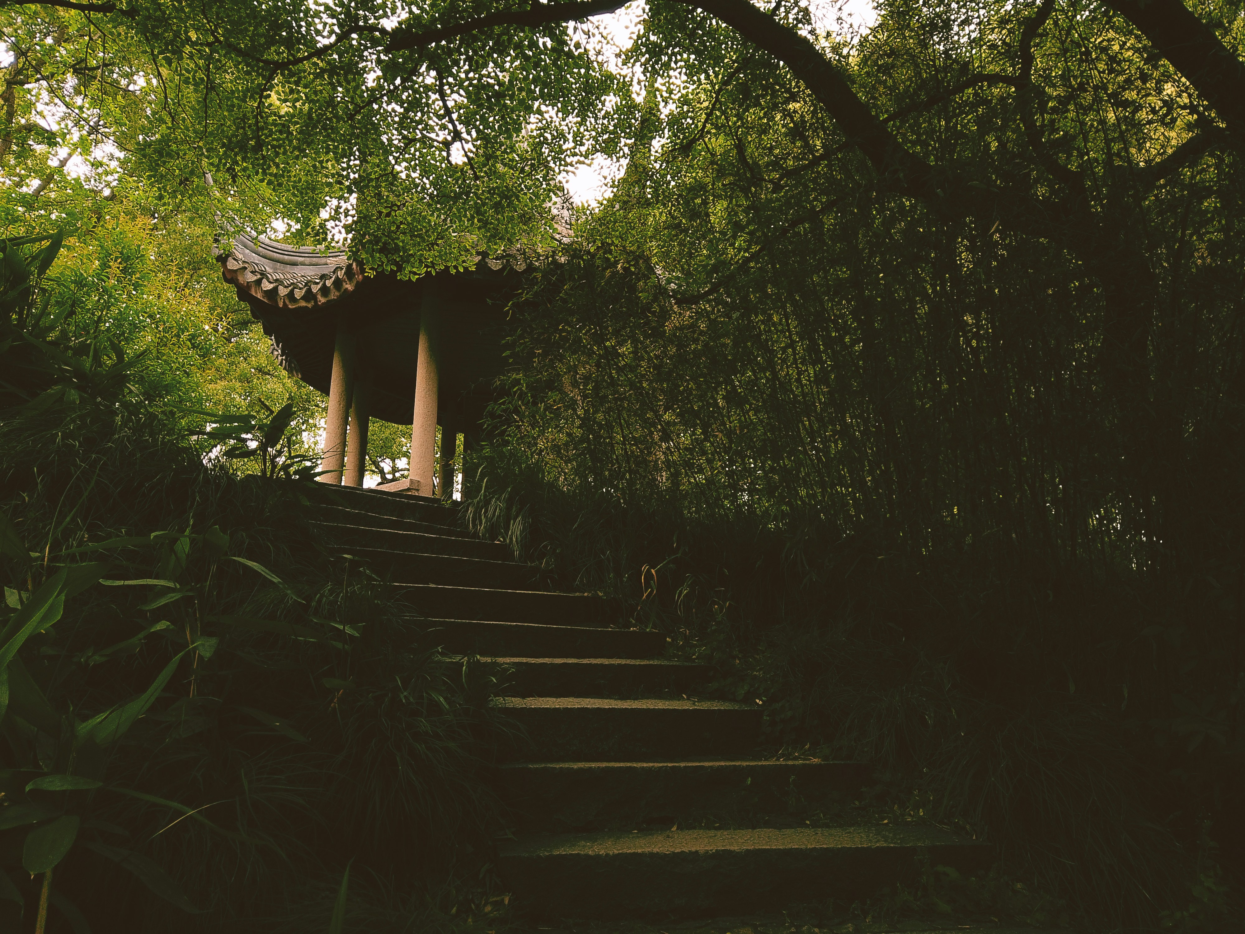 A serene pathway leading to a traditional pavilion, framed by lush greenery and soft shadows. The scene invites contemplation and peace.