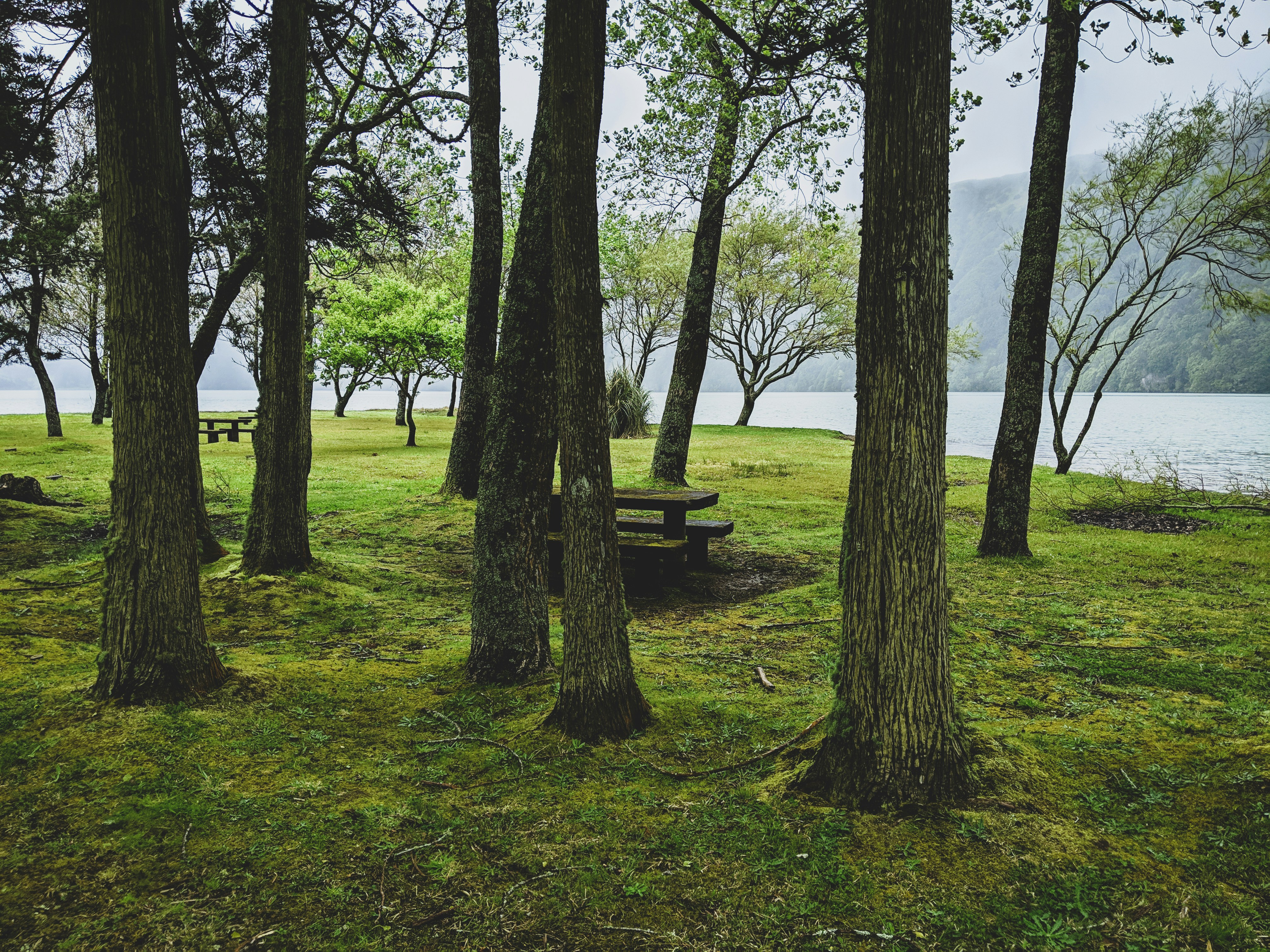 Cerrado Pictures | Download Free Images on Unsplash