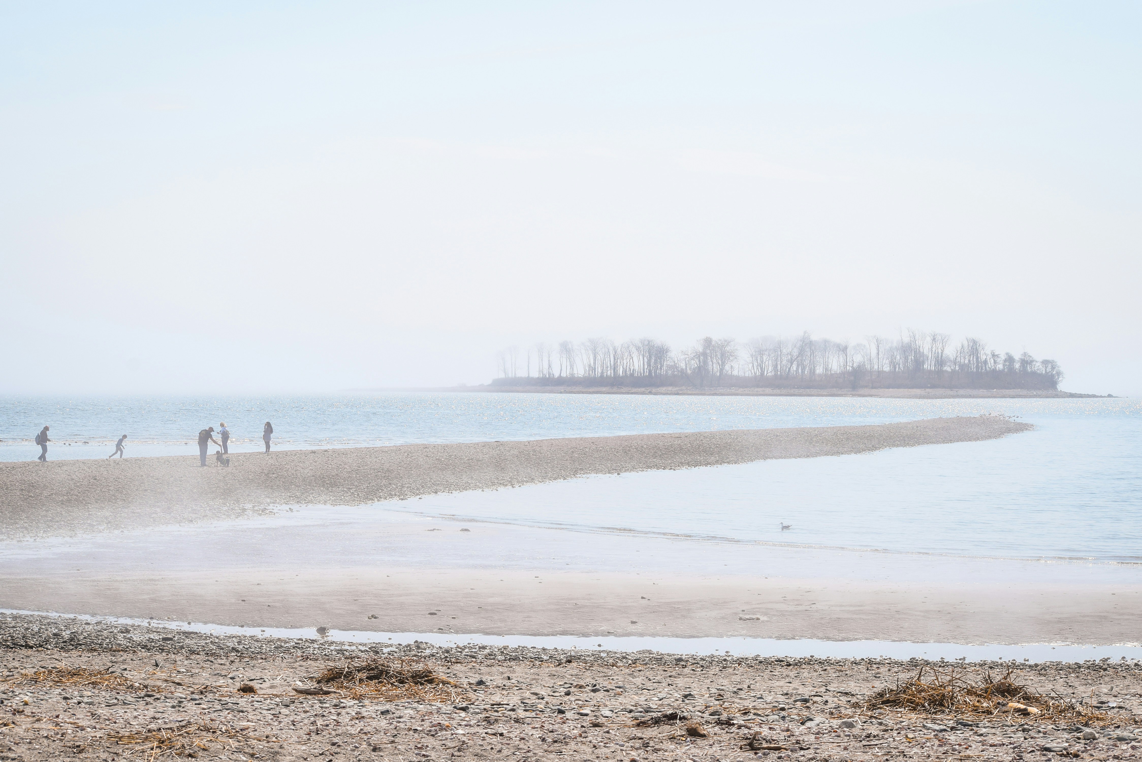 Discover the Enchanting Silver Sands Beach in Jeddah, KSA 🏖️ | KSA Journeys