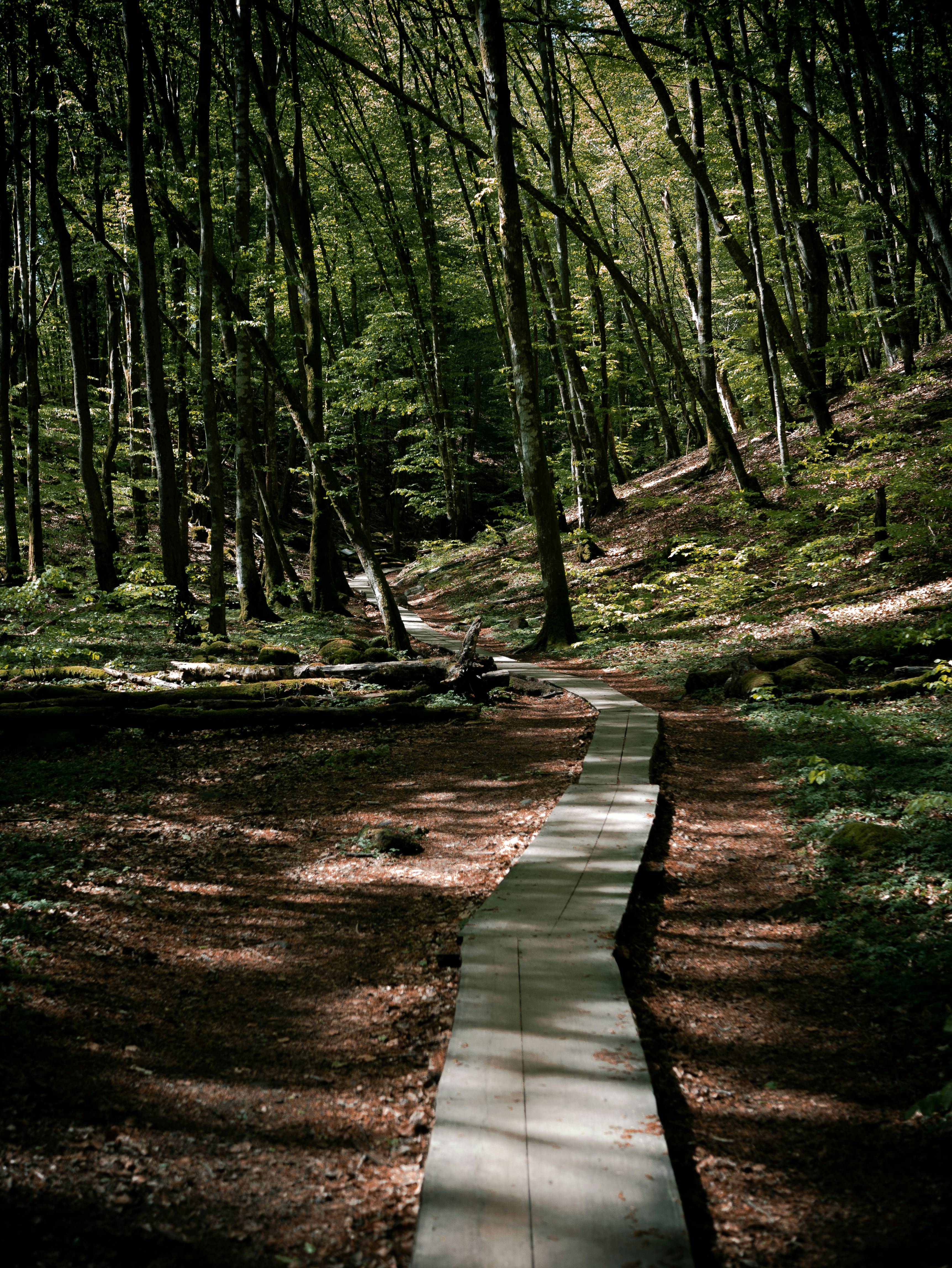 Photo by Casper Johansson with Panasonic Lumix GX80