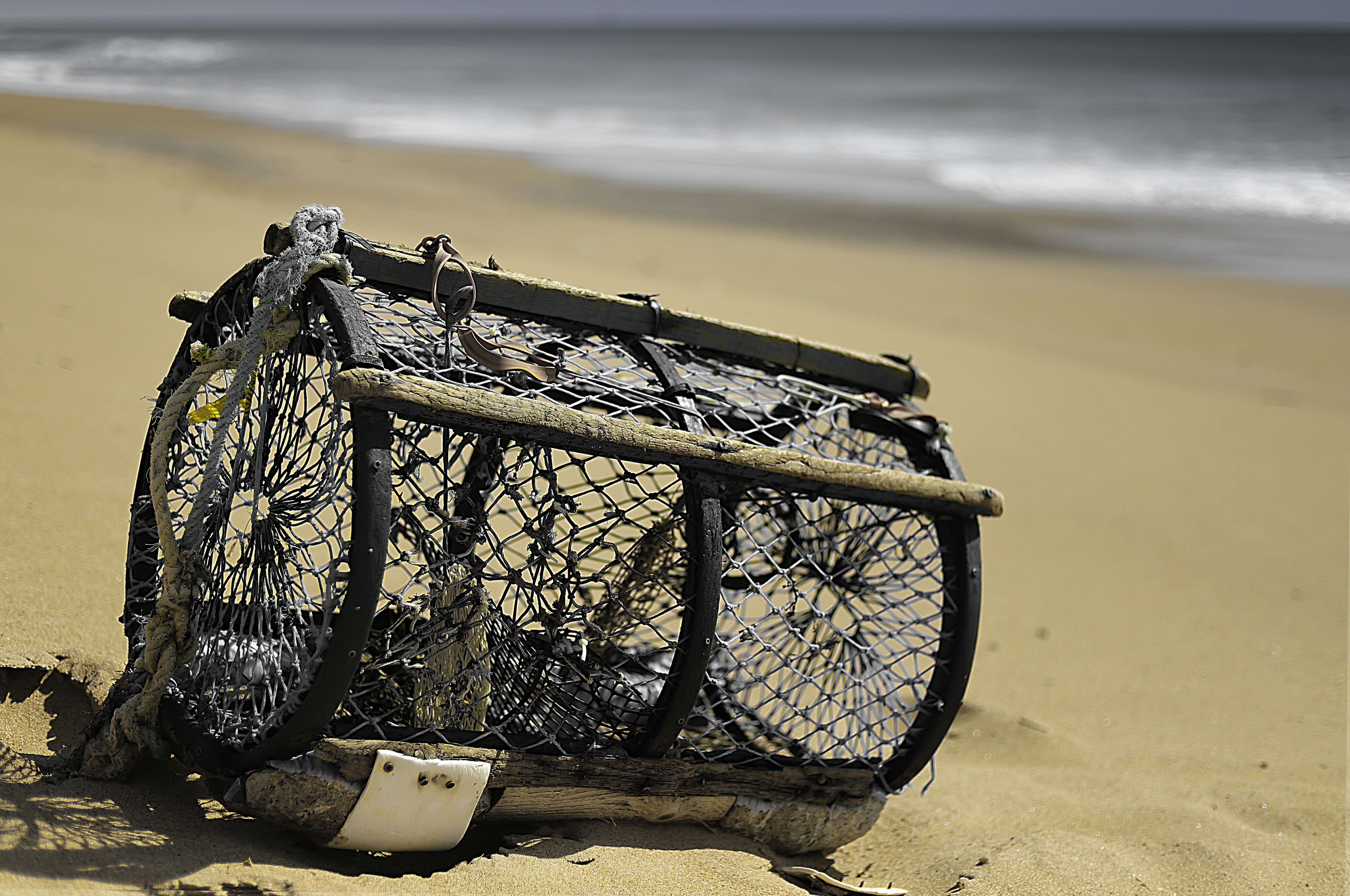 selective focus photography of cylindrical black cage on seashore