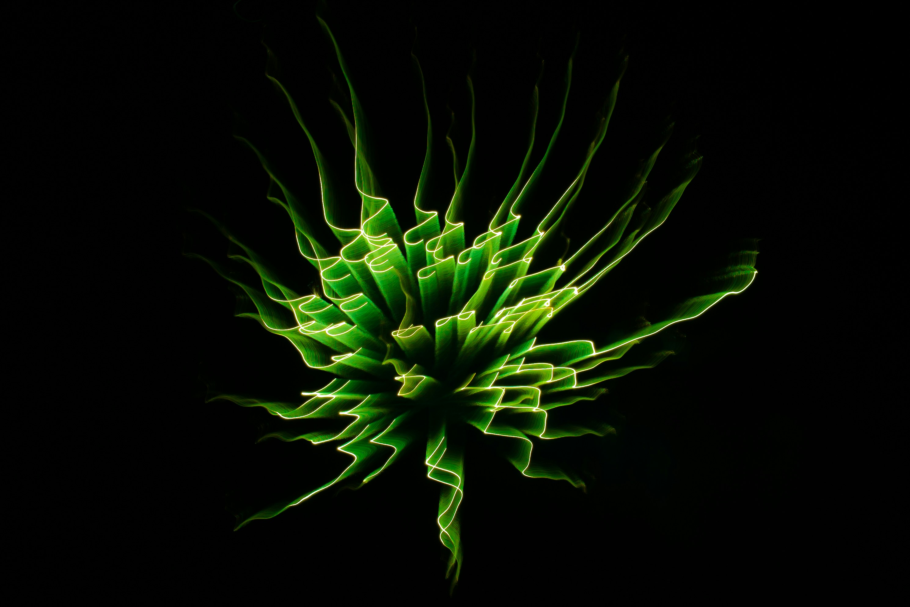 Intricate green plant-like structure illuminated against a dark background, showcasing its unique texture and form.