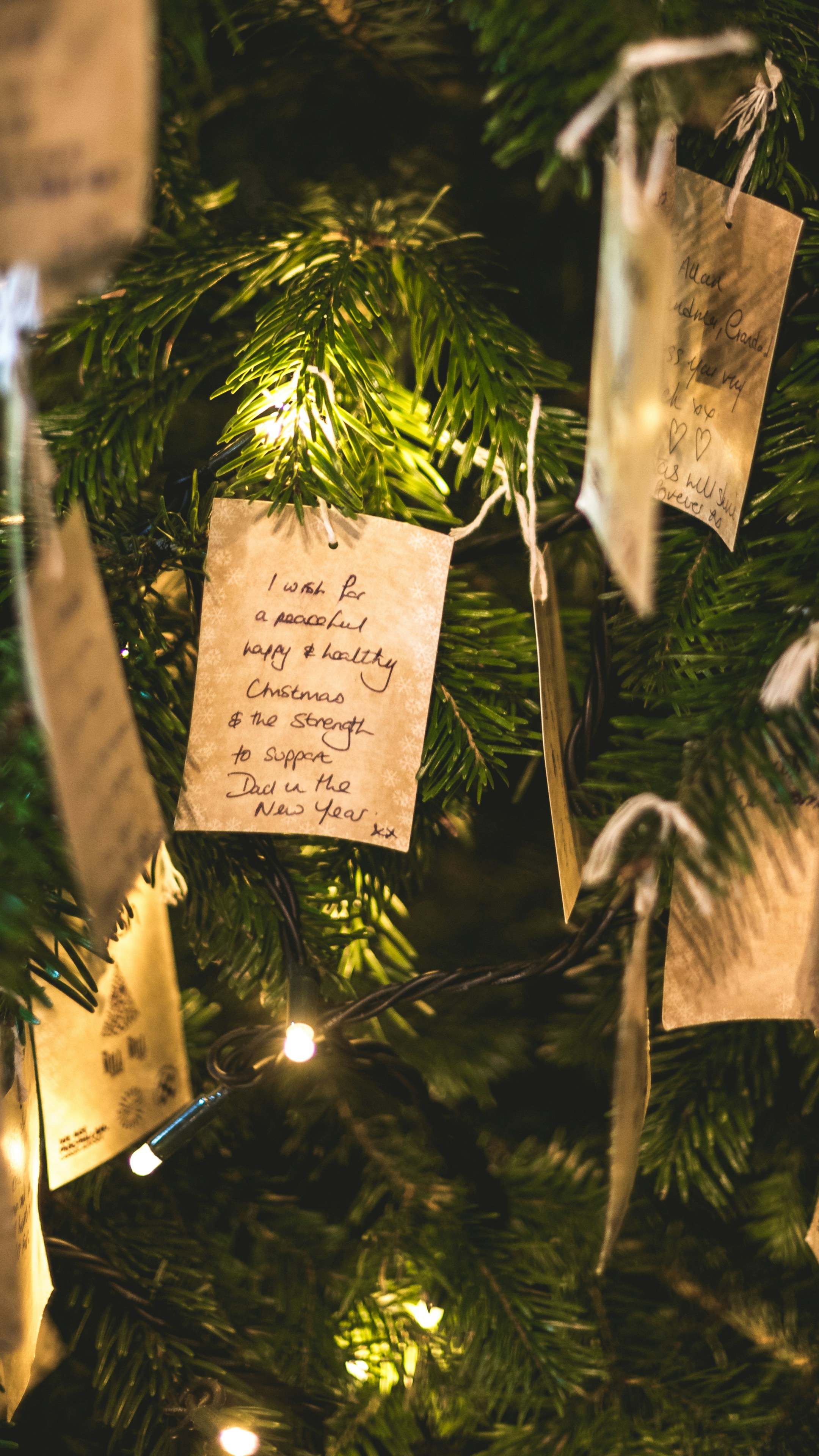 Handwritten notes of hope and well-being hang from a lush evergreen tree, illuminated by soft lights. The scene captures the spirit of holiday wishes.