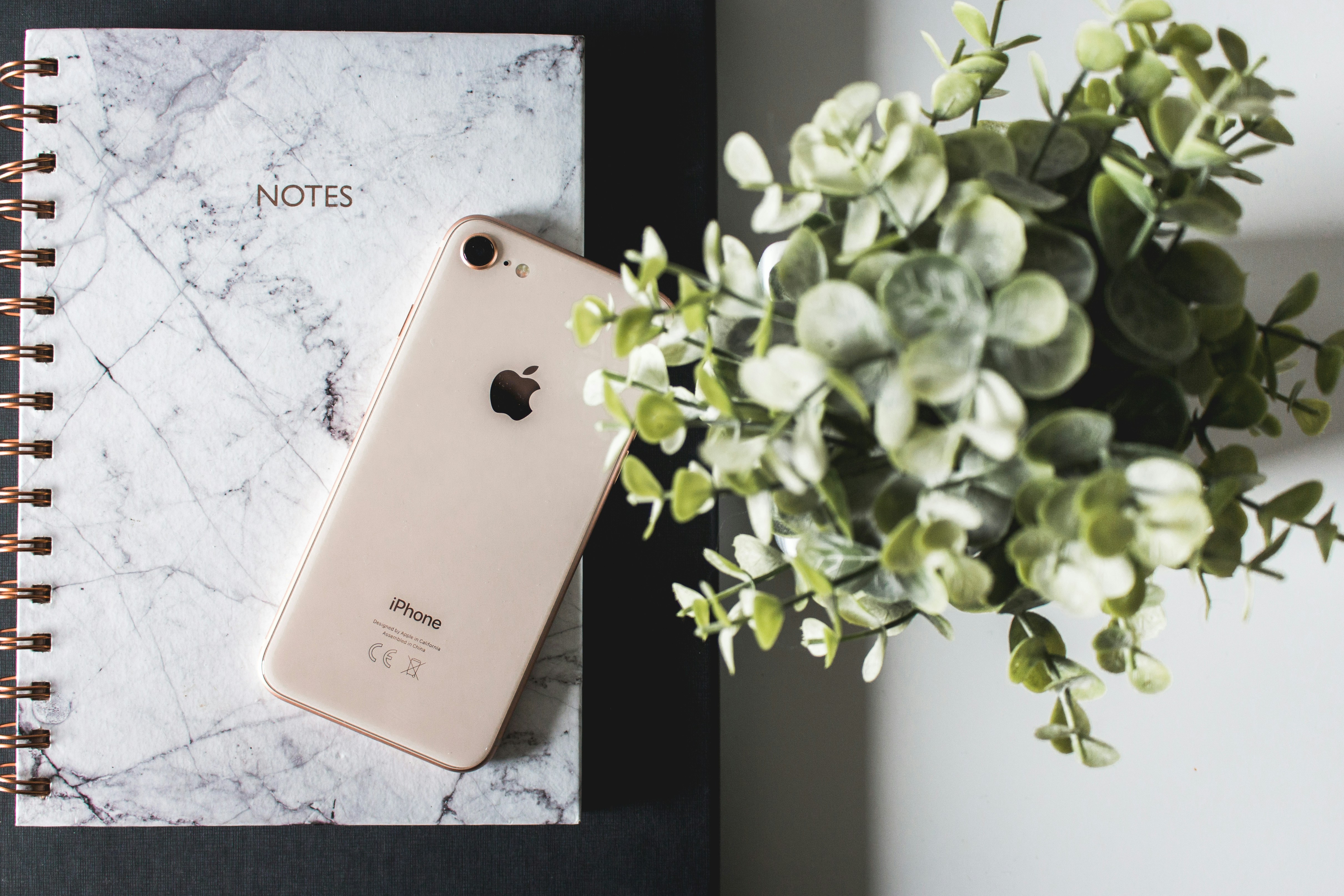 A sleek iPhone rests on a marble-patterned notebook beside a lush green plant, showcasing a blend of technology and nature.