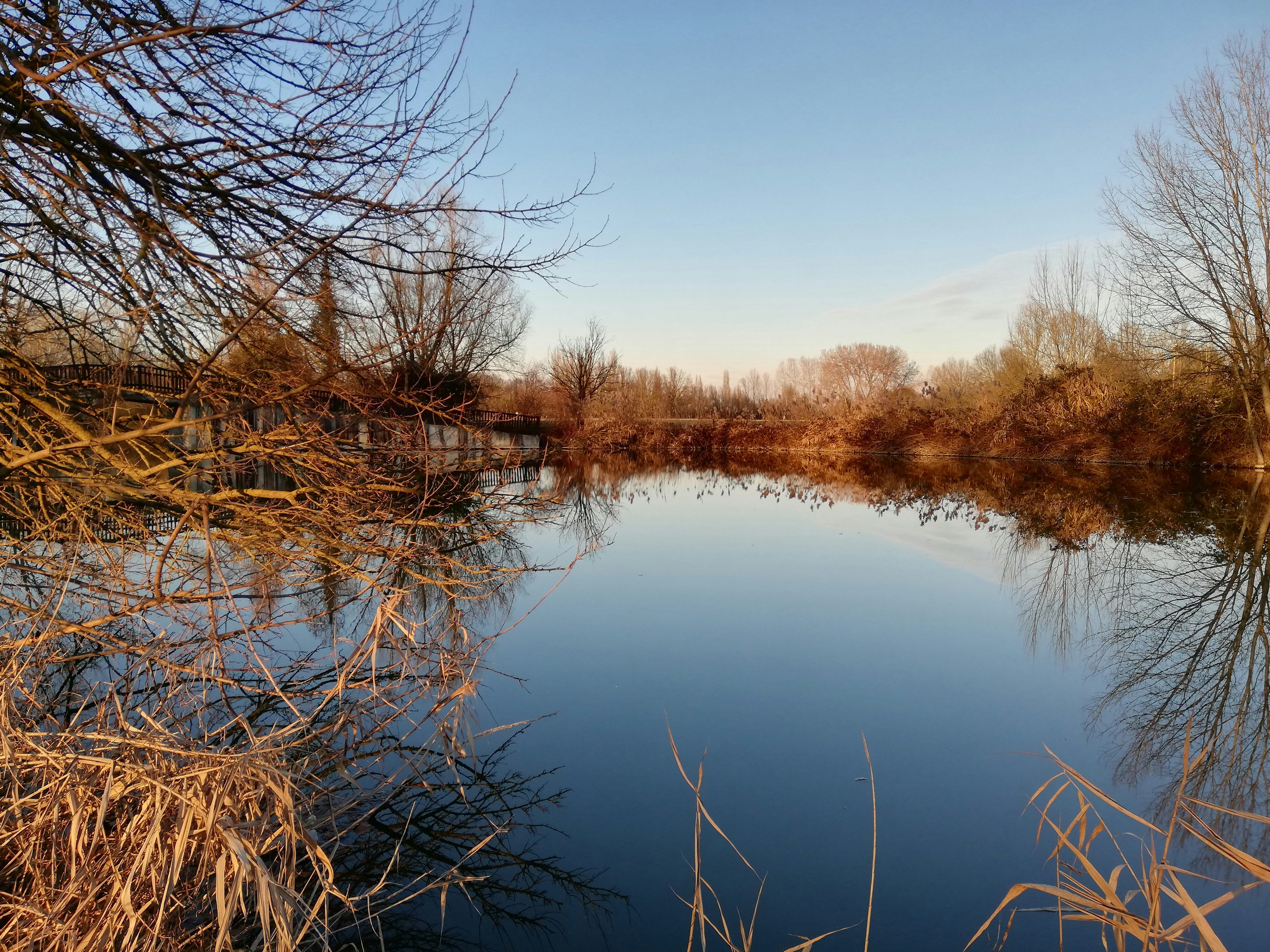 Calm water mirrors the bare branches of surrounding trees under a clear blue sky.