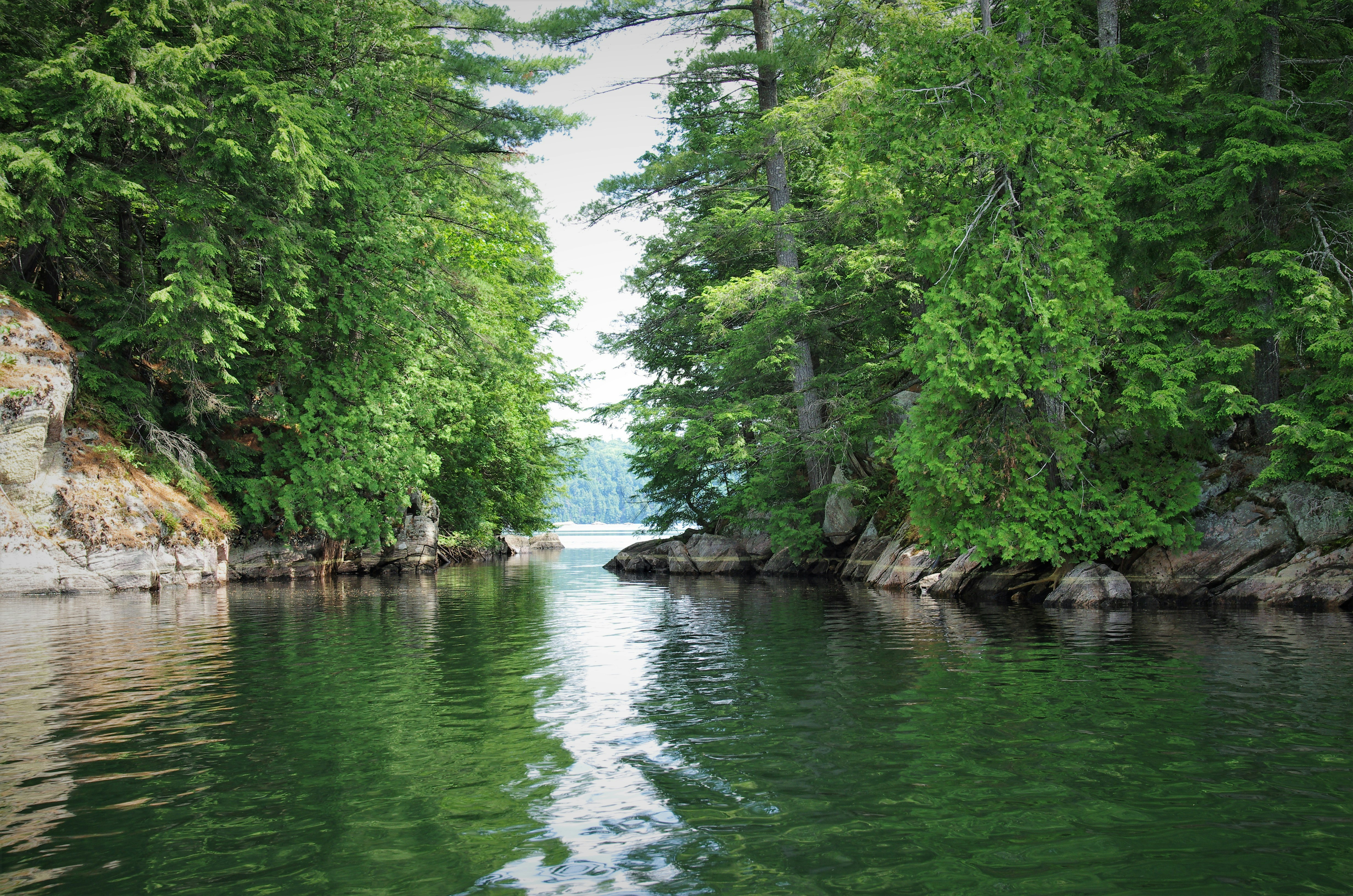 David M. Chambers (@icehoundphotography) | Unsplashフォトコミュニティ