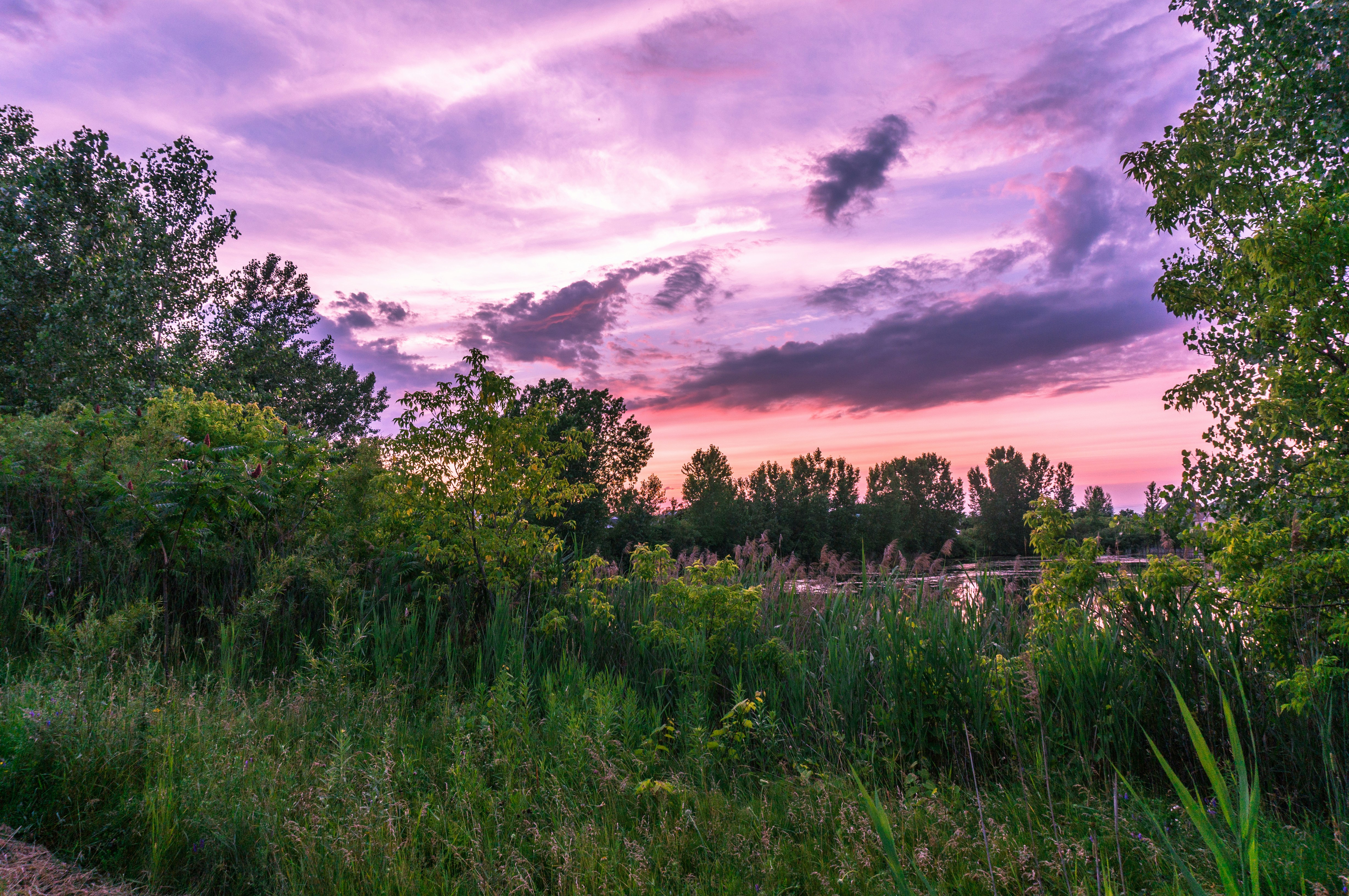 Vibrant sunset hues reflect on a calm body of water, framed by lush greenery and silhouettes of trees.